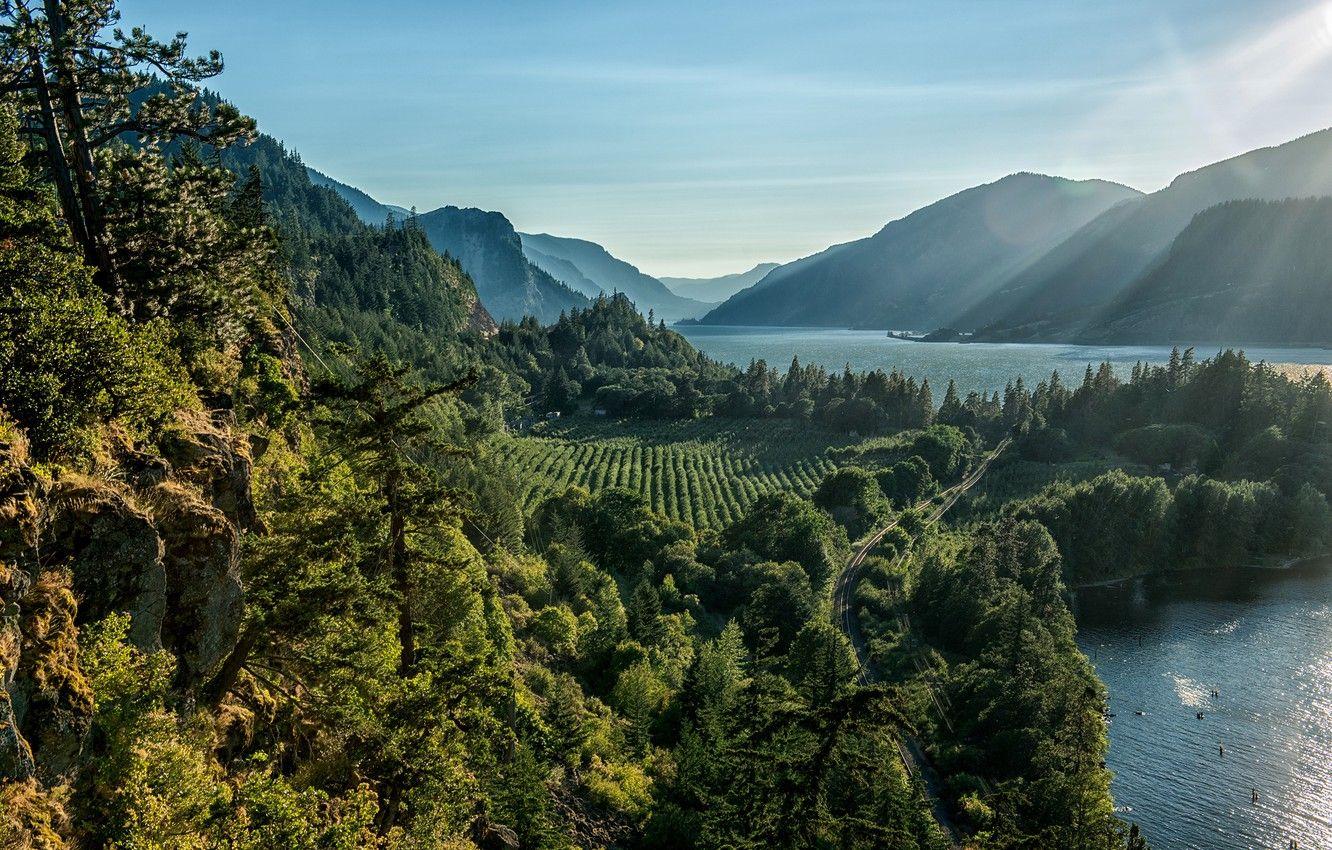 Oregon Forest Wallpapers - Top Free Oregon Forest Backgrounds ...