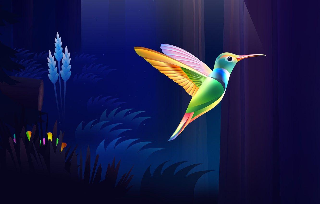 Colibri Wallpapers - Top Free Colibri Backgrounds - WallpaperAccess