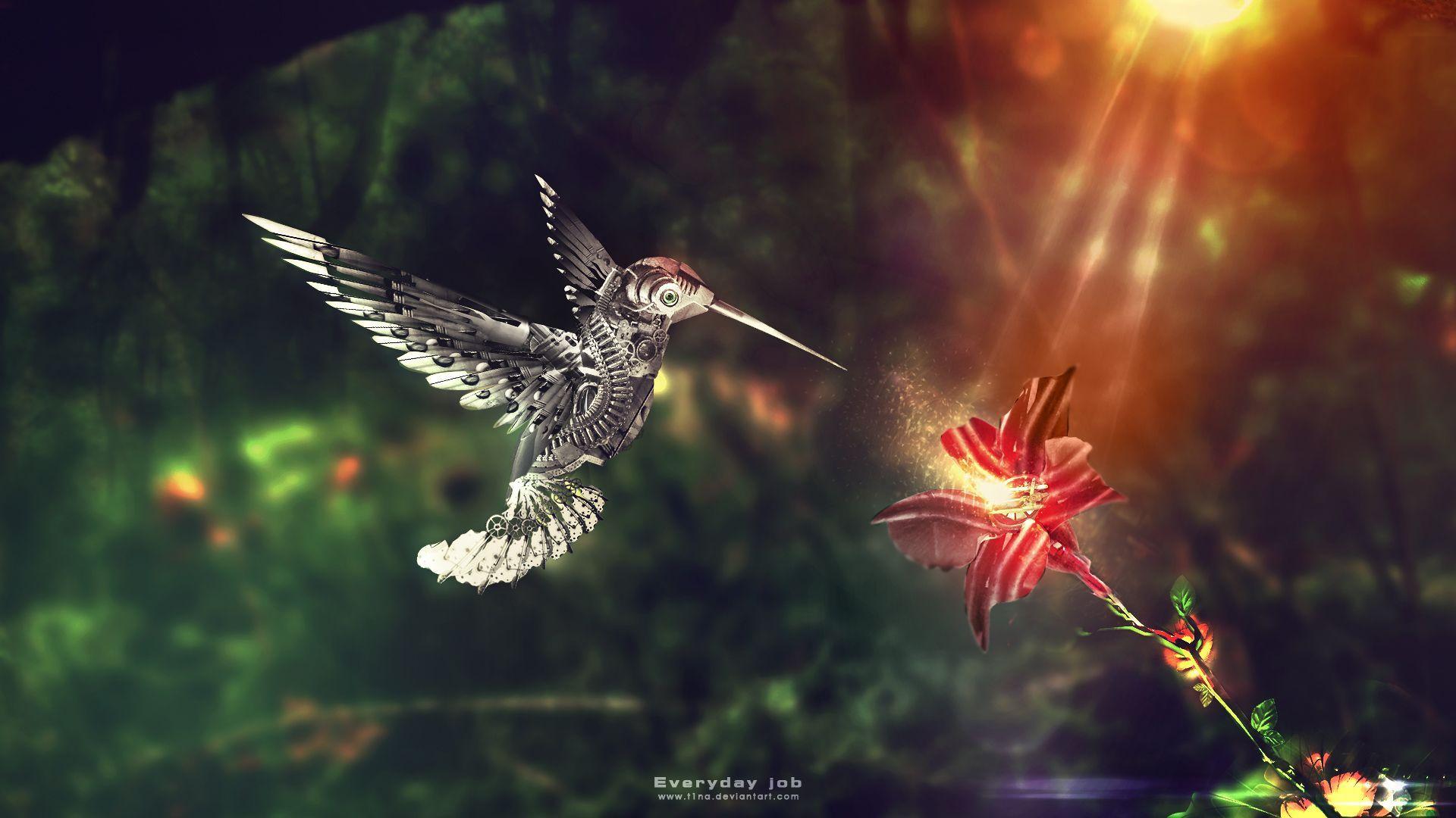 Colibri Wallpapers - Top Free Colibri Backgrounds - WallpaperAccess