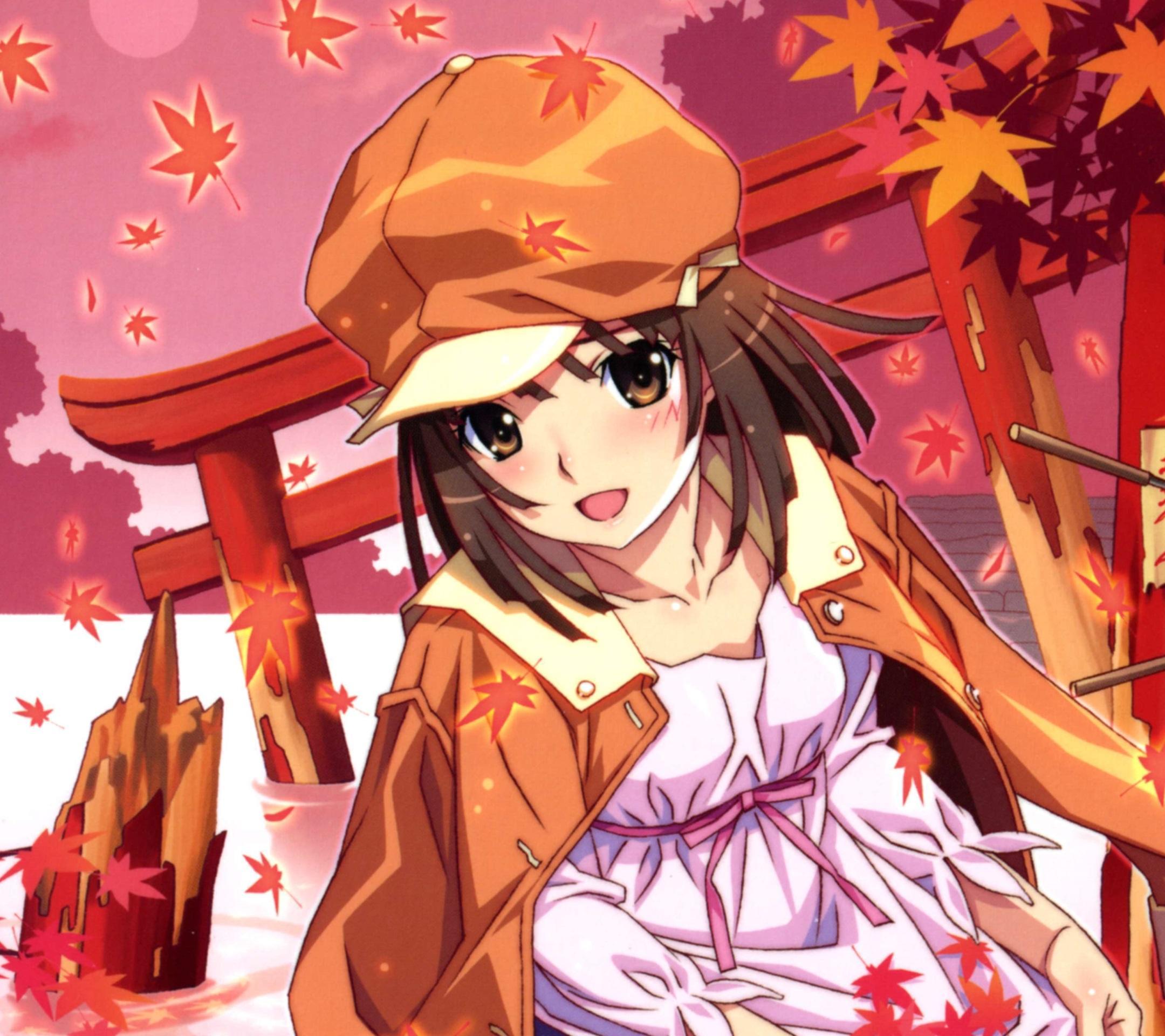 Sengoku Nadeko Wallpapers - Top Free Sengoku Nadeko Backgrounds ...