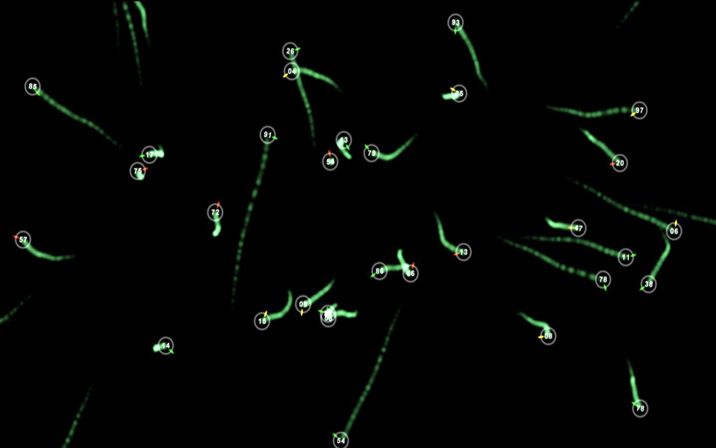 Organic Computer Wallpapers - Top Free Organic Computer Backgrounds ...