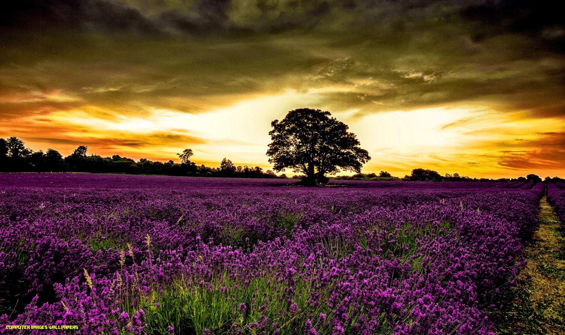 Organic Computer Wallpapers - Top Free Organic Computer Backgrounds ...
