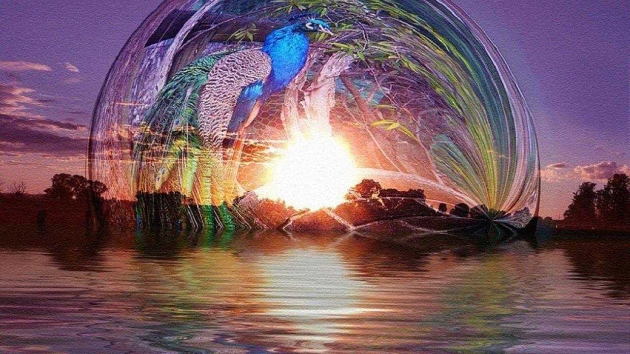 Organic Computer Wallpapers - Top Free Organic Computer Backgrounds ...