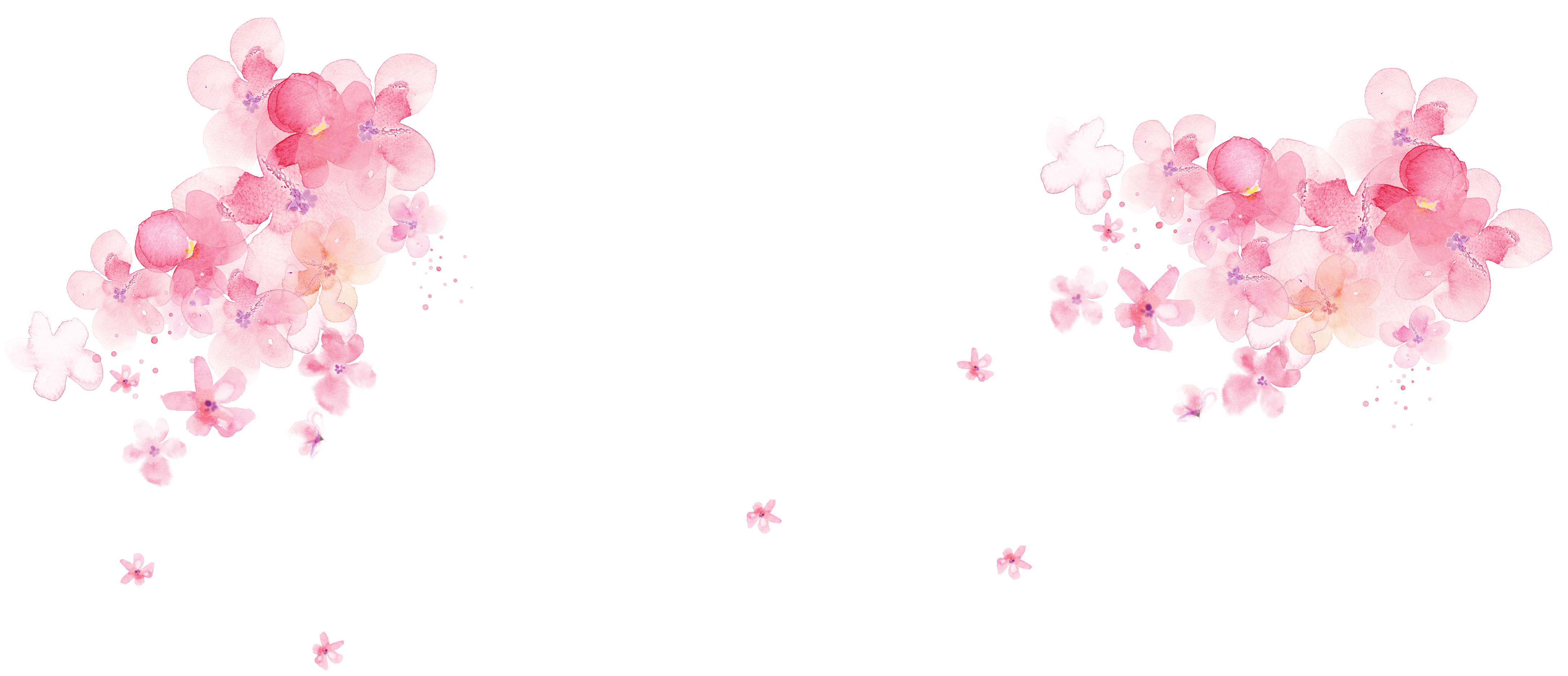 Pink Floral Desktop Wallpapers - Top Free Pink Floral Desktop ...