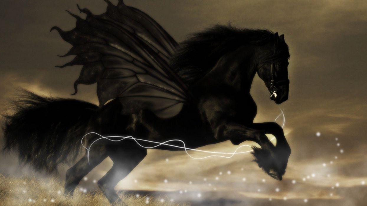 Black Pegasus Wallpapers - Top Free Black Pegasus Backgrounds - WallpaperAccess