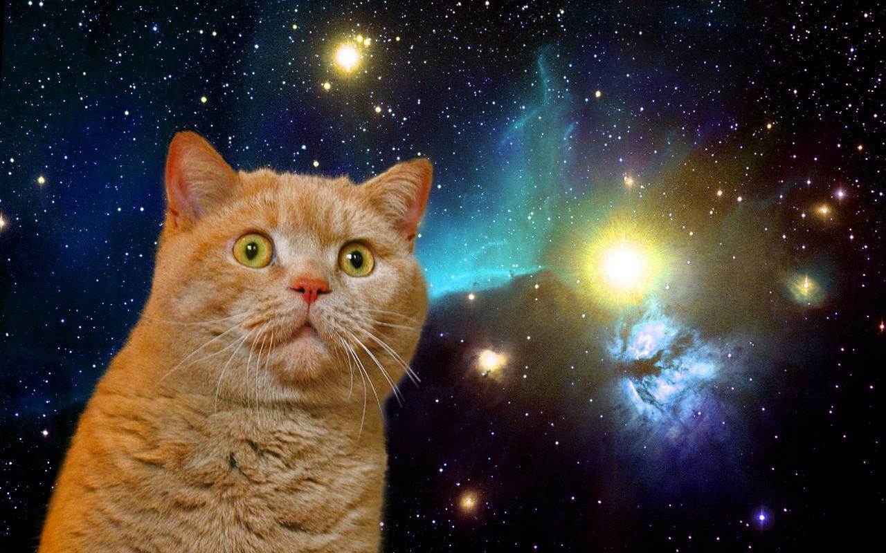 Cat Nebula Wallpapers - Top Free Cat Nebula Backgrounds - WallpaperAccess