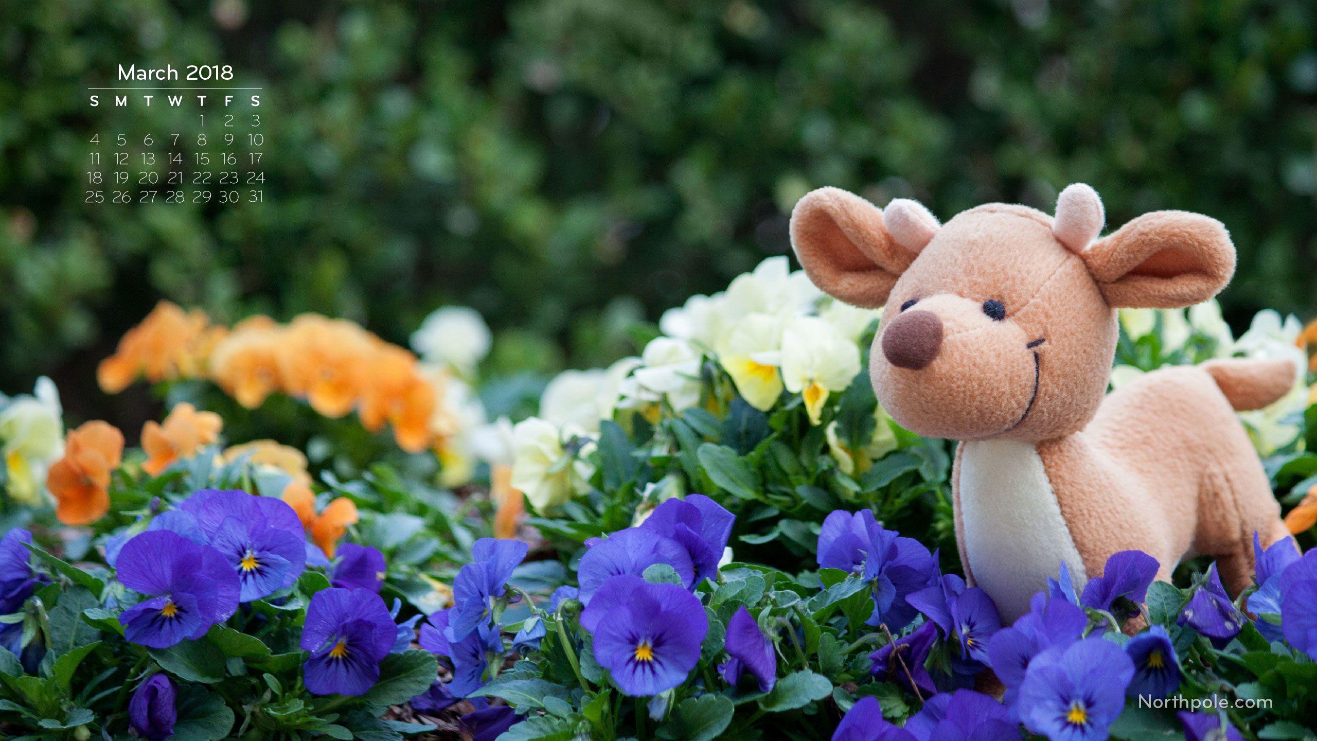 Hello Spring Computer Wallpapers - Top Free Hello Spring Computer ...