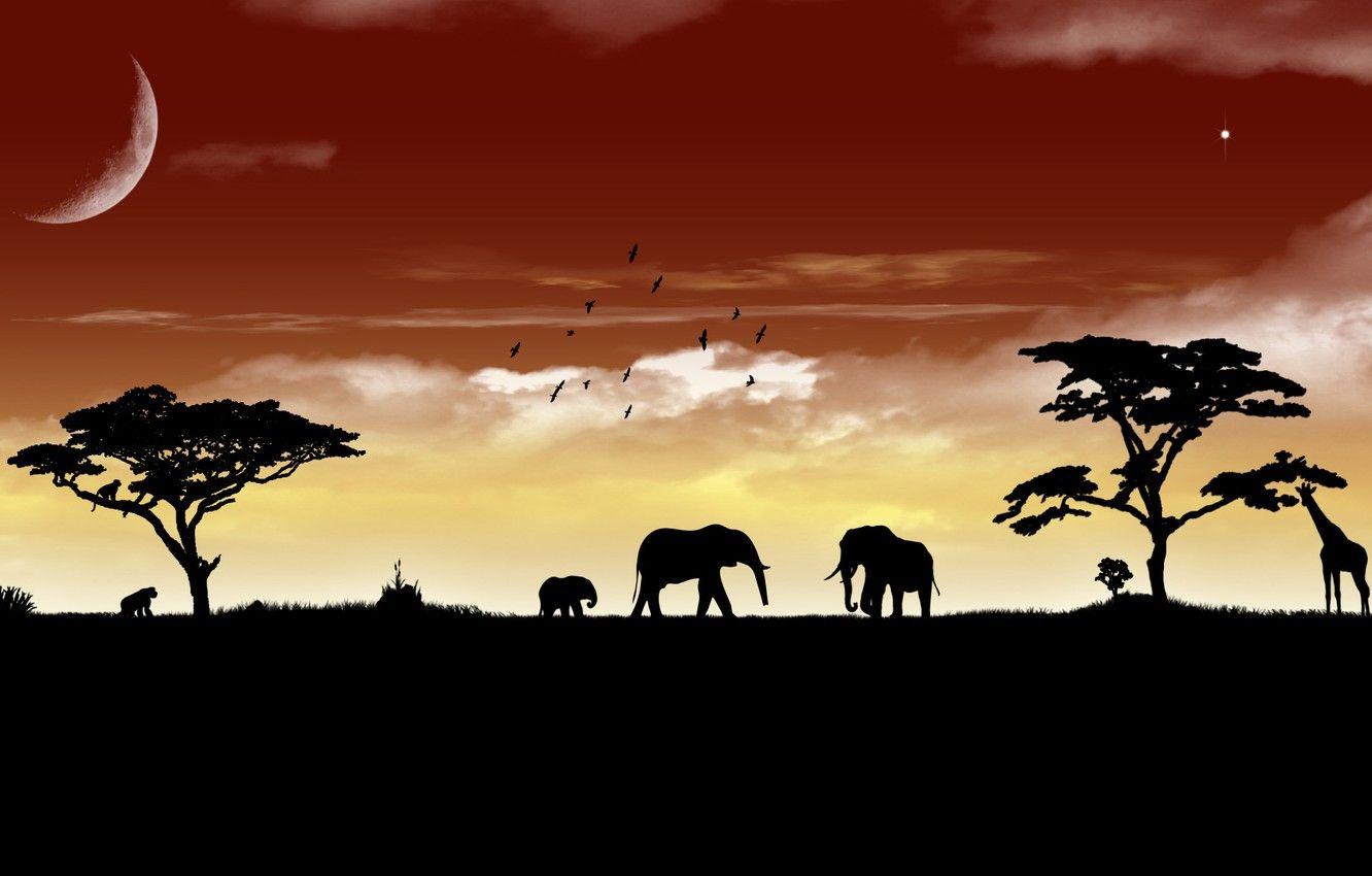 Elephant Landscape Wallpapers - Top Free Elephant Landscape Backgrounds ...