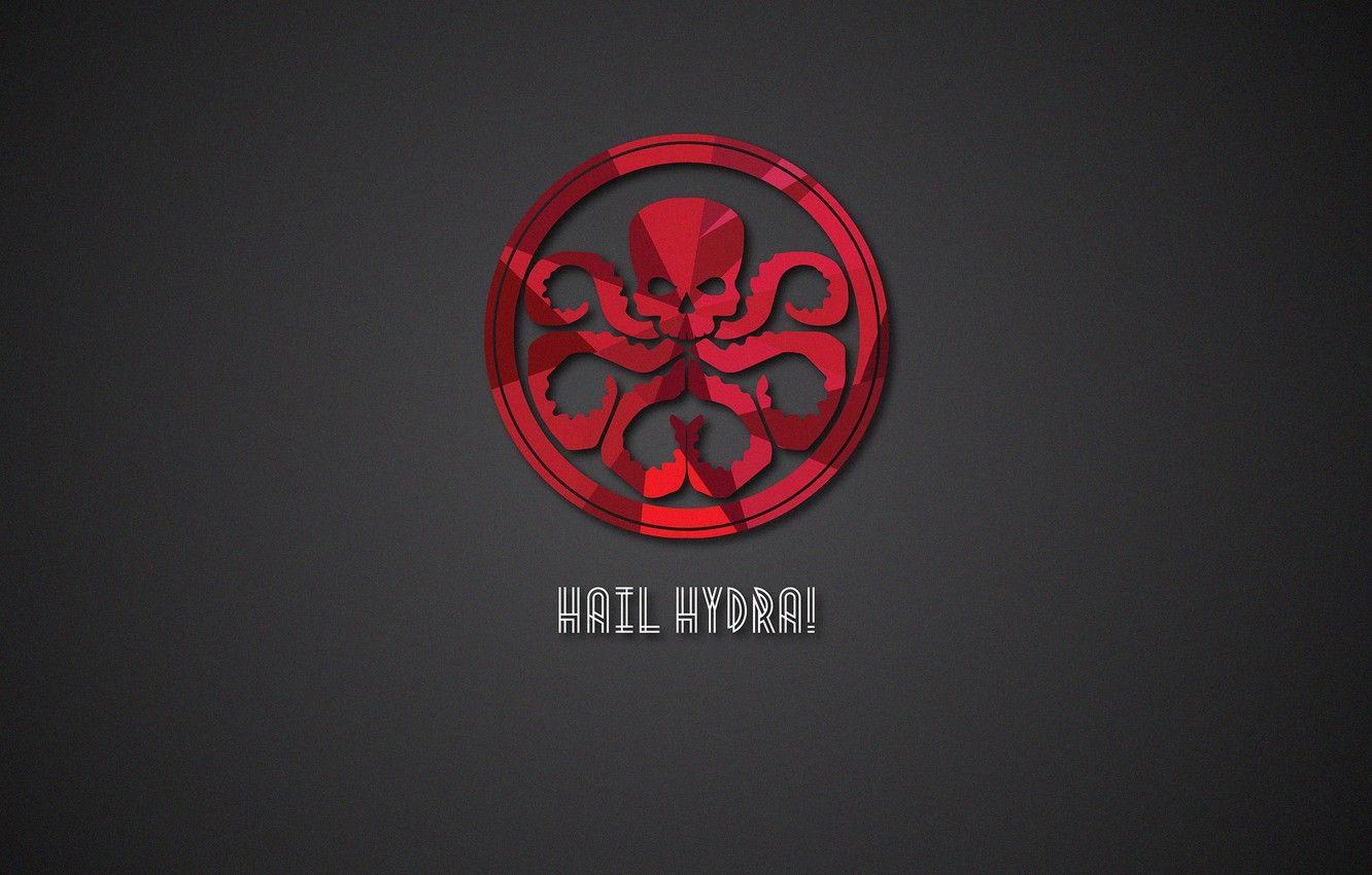 Hail Hydra Wallpapers - Top Free Hail Hydra Backgrounds - WallpaperAccess