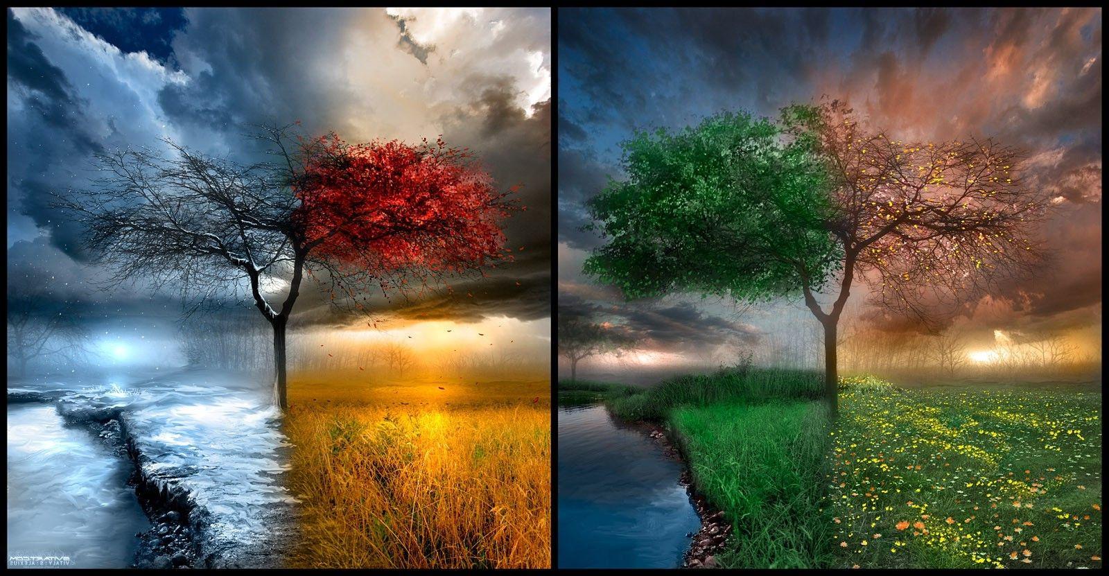 4 Seasons Wallpapers - Top Free 4 Seasons Backgrounds - WallpaperAccess