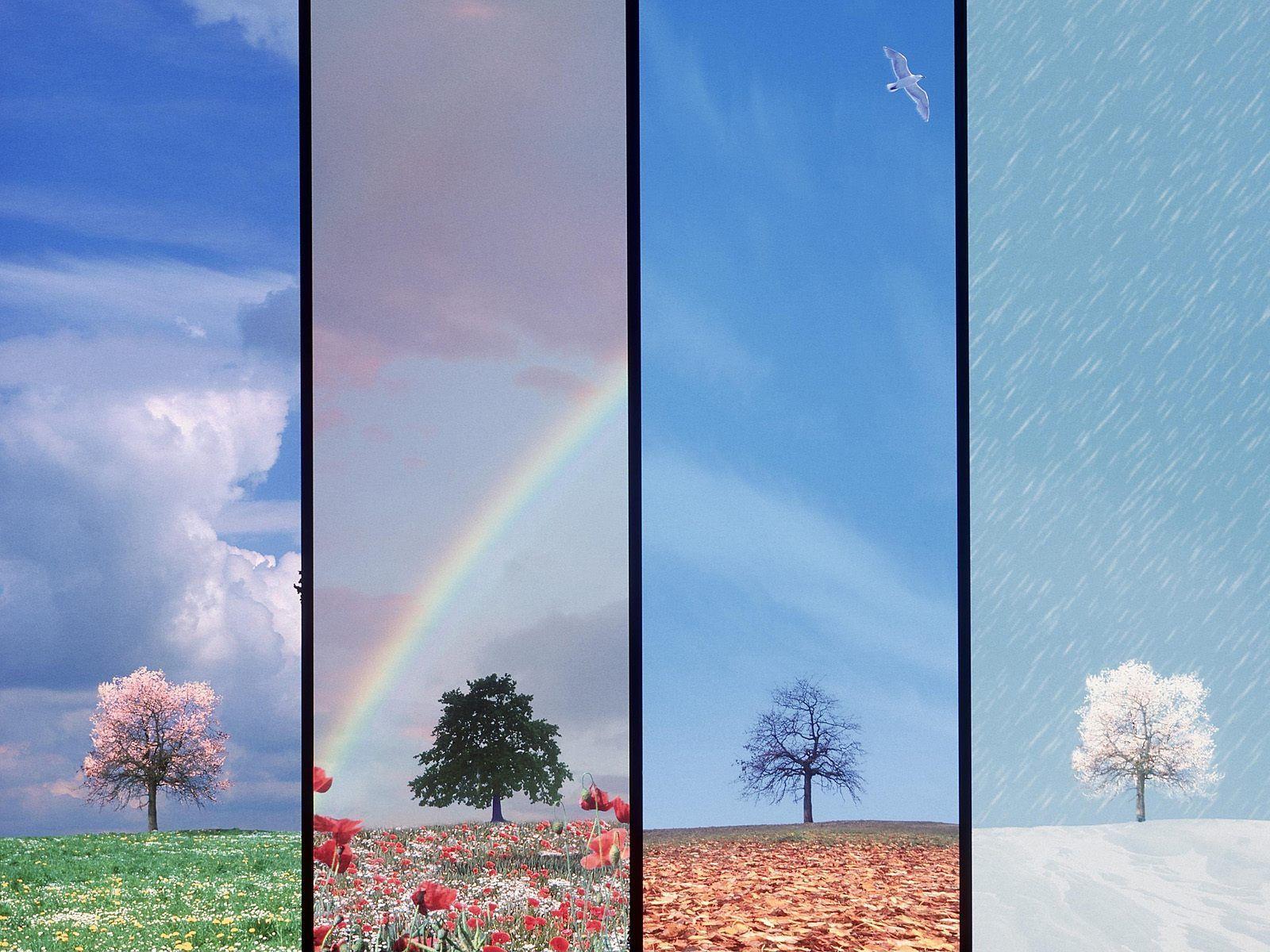 4 Seasons Wallpapers - Top Free 4 Seasons Backgrounds - WallpaperAccess
