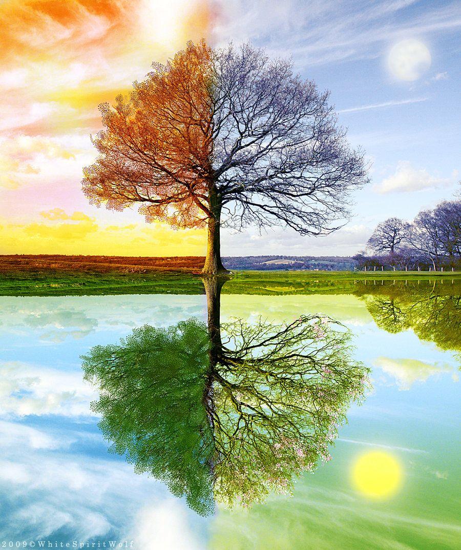 4 Seasons Wallpapers - Top Free 4 Seasons Backgrounds - WallpaperAccess