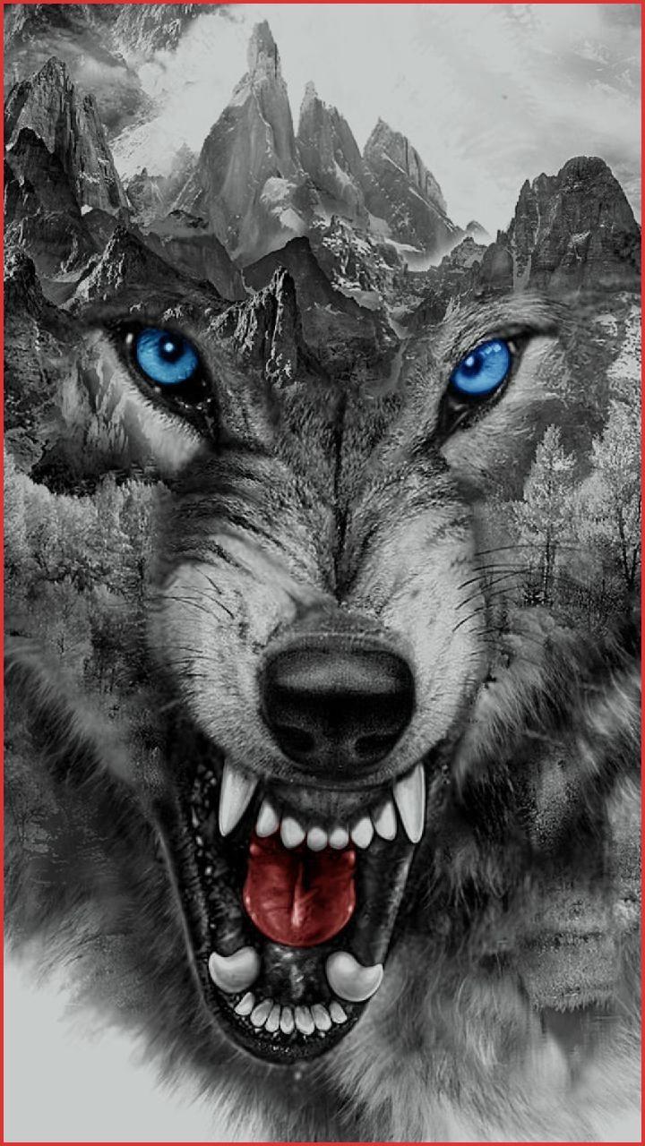 Realistic Wolf Wallpapers - Top Free Realistic Wolf Backgrounds ...