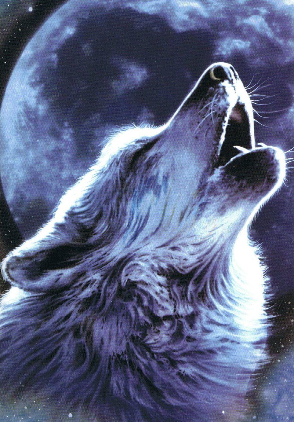Realistic Wolf Wallpapers - Top Free Realistic Wolf Backgrounds ...
