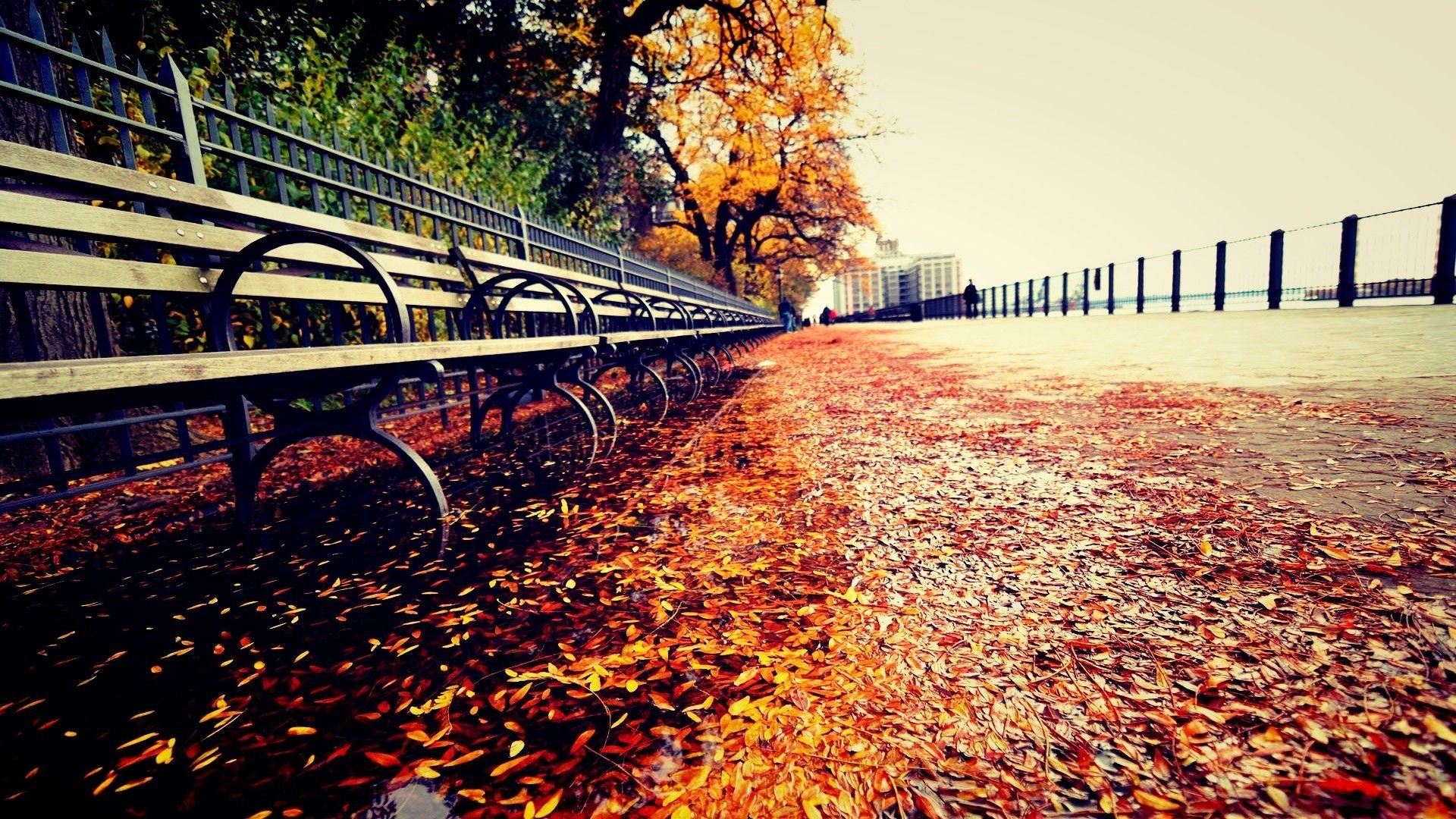 1920X1080 HD Fall Wallpapers - Top Free 1920X1080 HD Fall Backgrounds ...