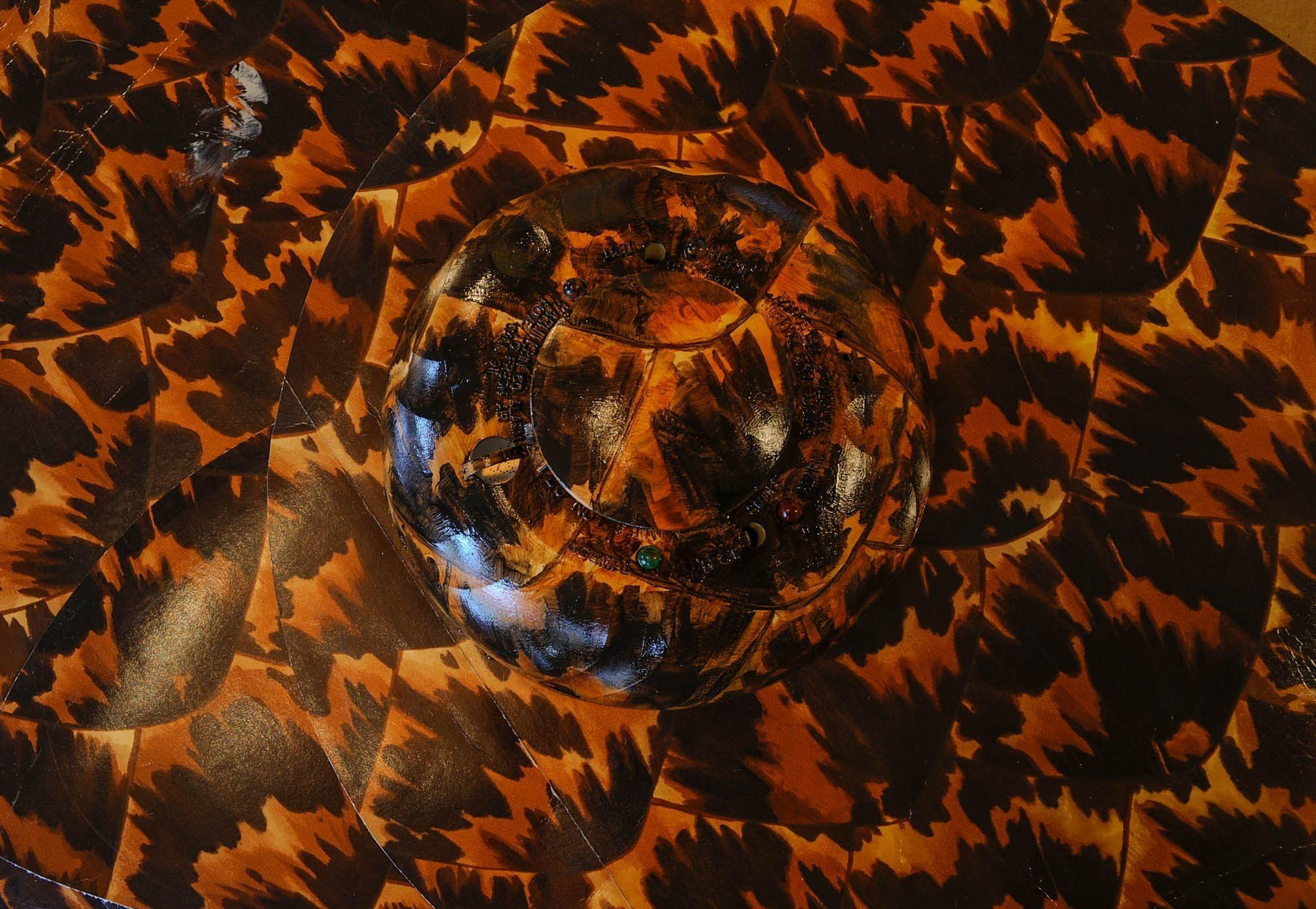 Shell Wallpapers - Top Free Shell Backgrounds - WallpaperAccess