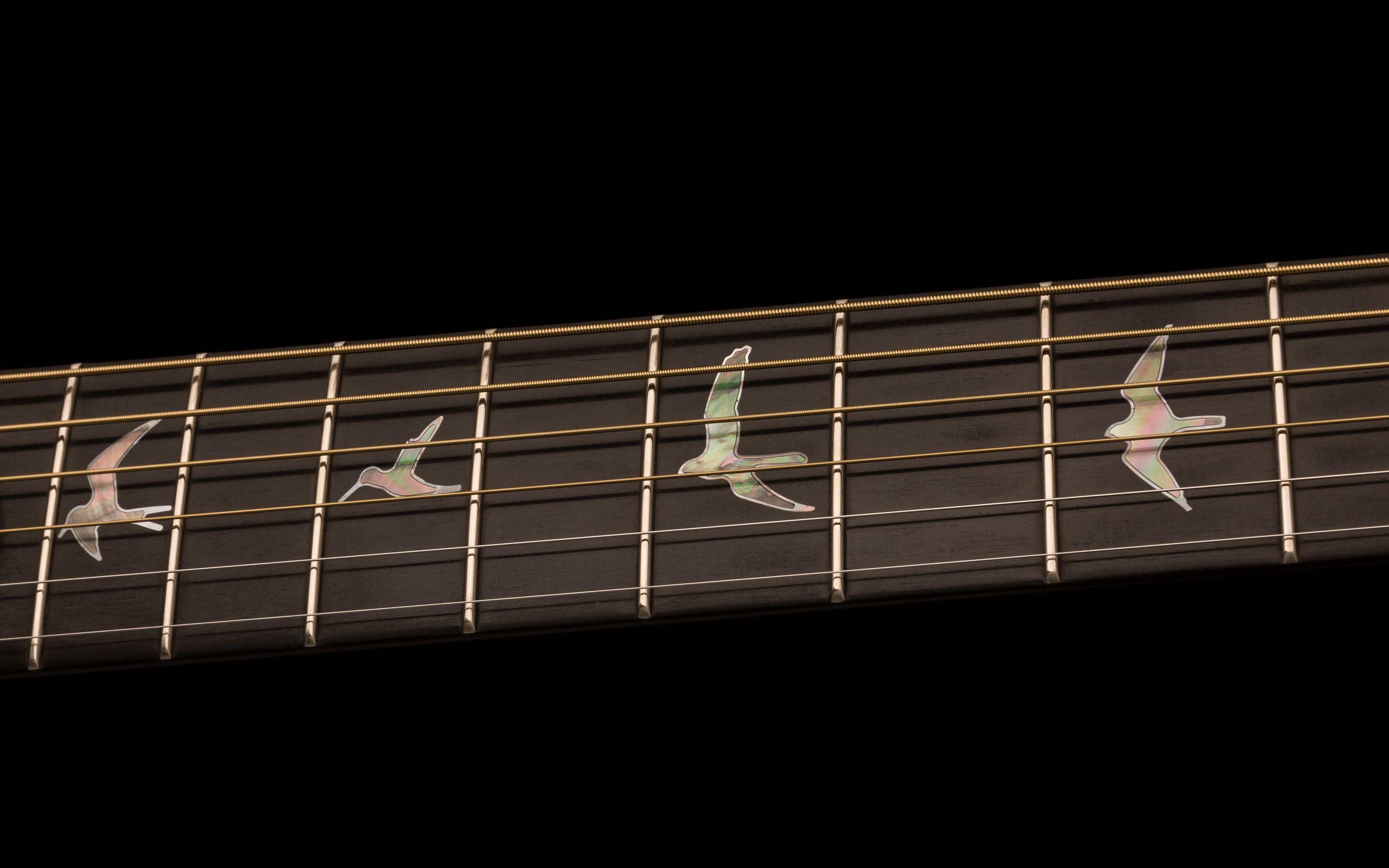 PRS Guitar Wallpapers - Top Free PRS Guitar Backgrounds - WallpaperAccess