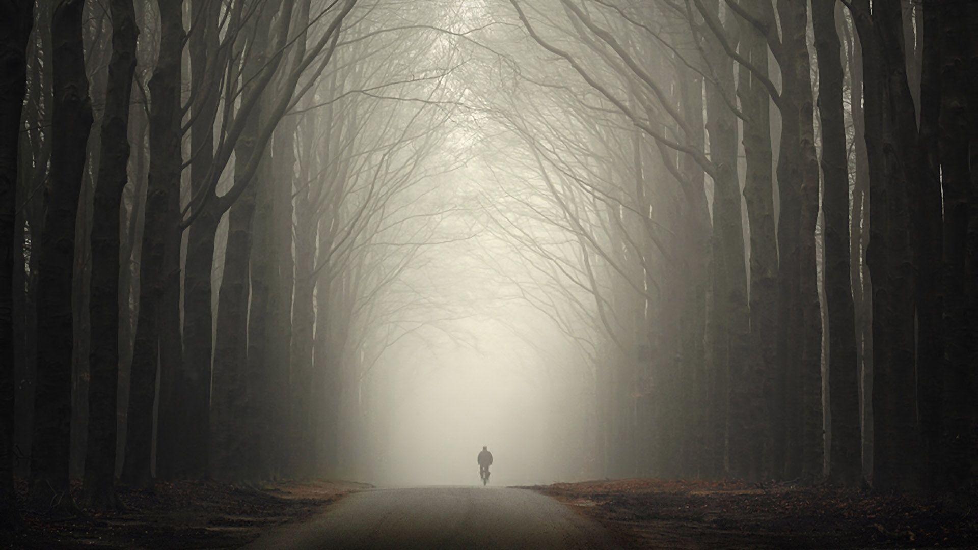 Forest Aesthetic Desktop Wallpapers - Top Free Forest Aesthetic Desktop ...