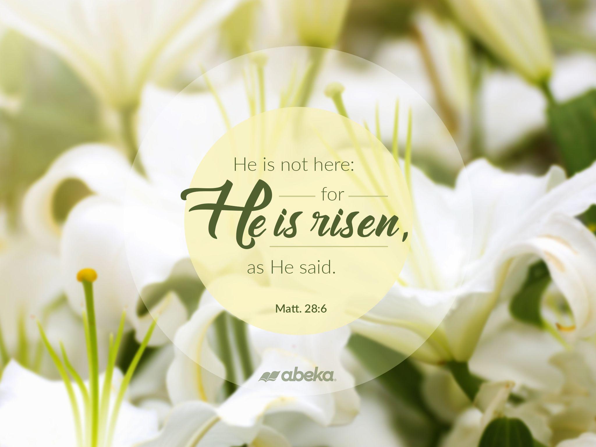 He Is Risen Wallpapers - Top Free He Is Risen Backgrounds - WallpaperAccess