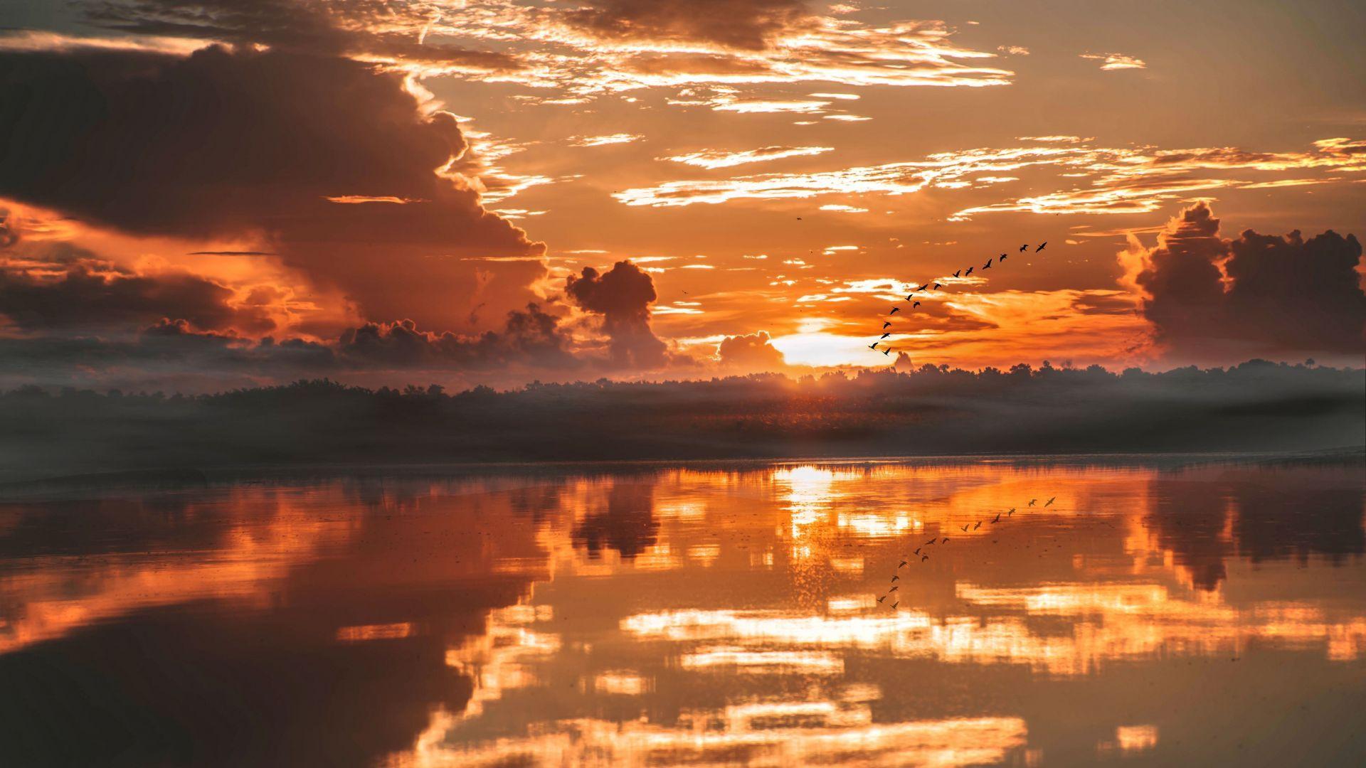 Exotic Desktop Wallpapers - Top Free Exotic Desktop Backgrounds ...