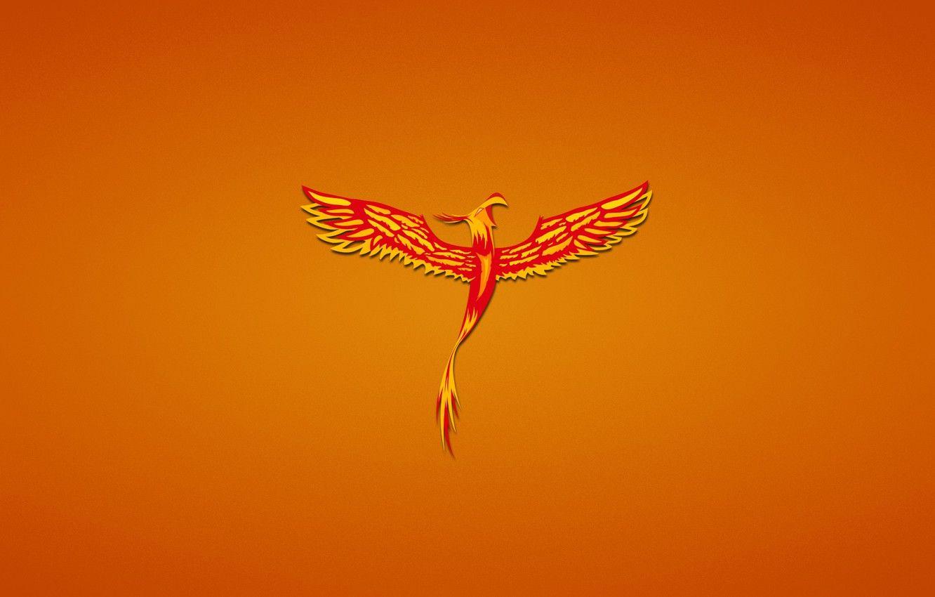 Minimalist Phoenix Wallpapers - Top Free Minimalist Phoenix Backgrounds ...