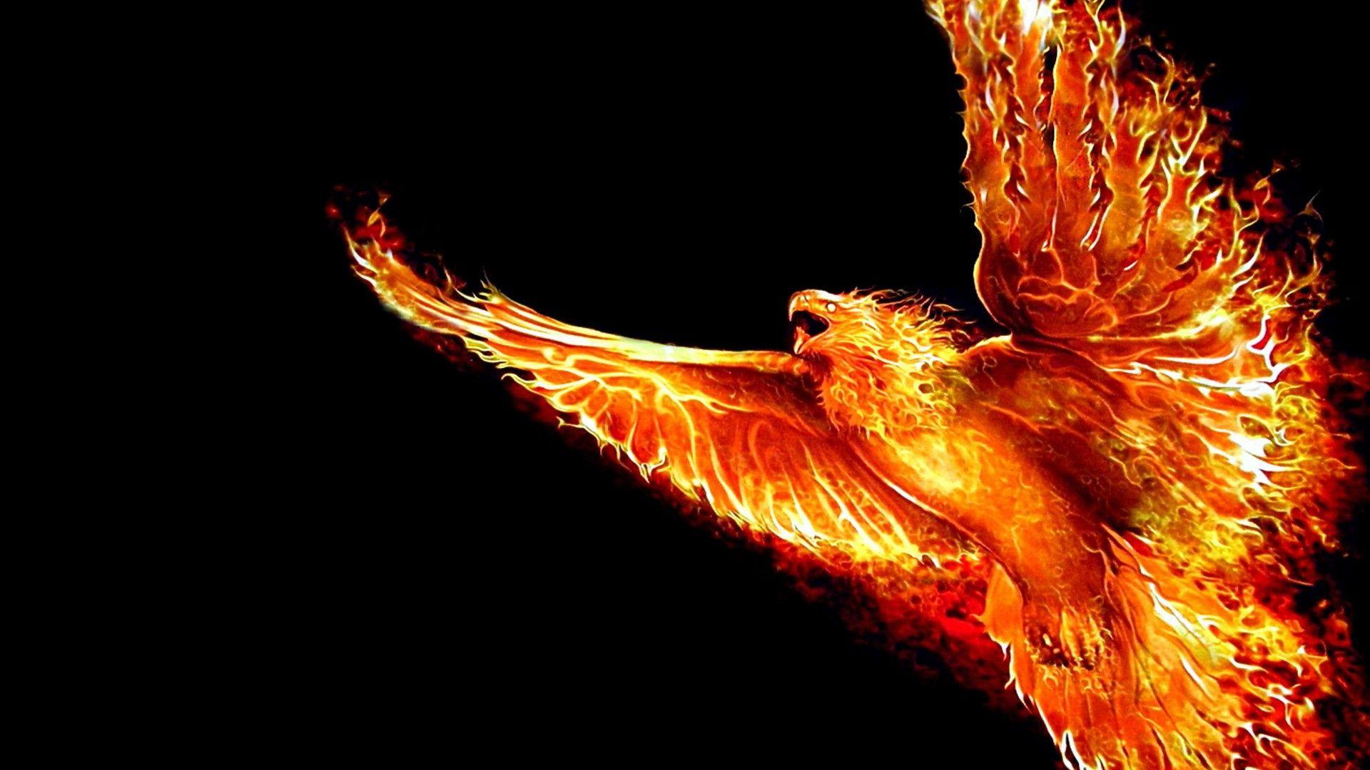 Red Phoenix Wallpapers - Top Free Red Phoenix Backgrounds - WallpaperAccess
