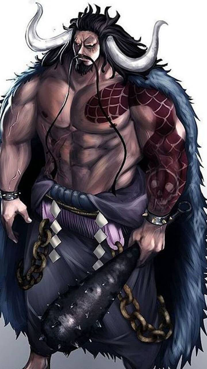 Yonko Wallpapers - Top Free Yonko Backgrounds - WallpaperAccess