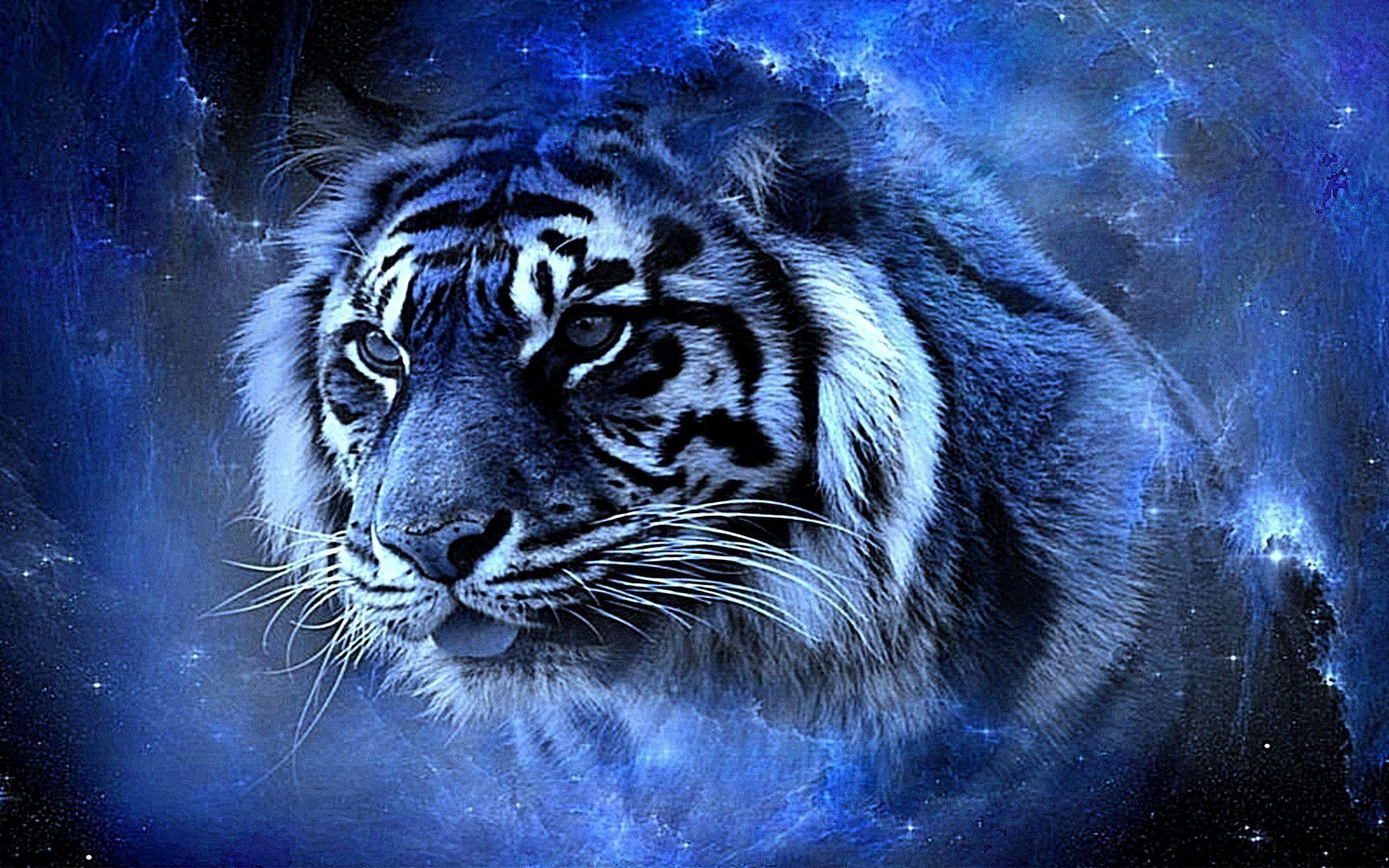 Ice Tiger Wallpapers - Top Free Ice Tiger Backgrounds - WallpaperAccess