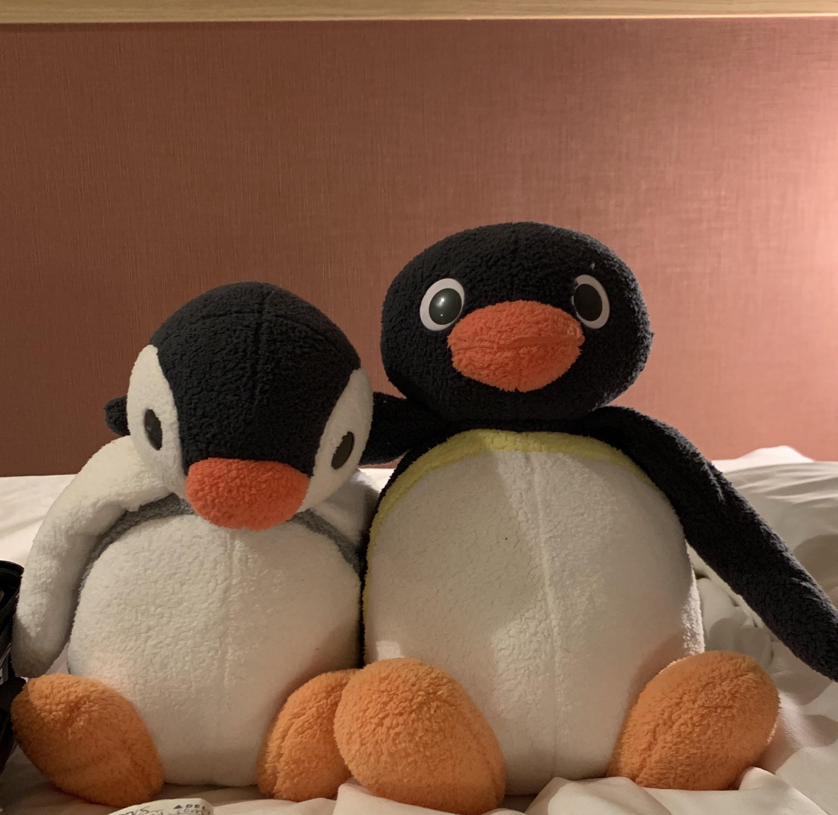 Pingu HD Wallpapers - Top Free Pingu HD Backgrounds - WallpaperAccess