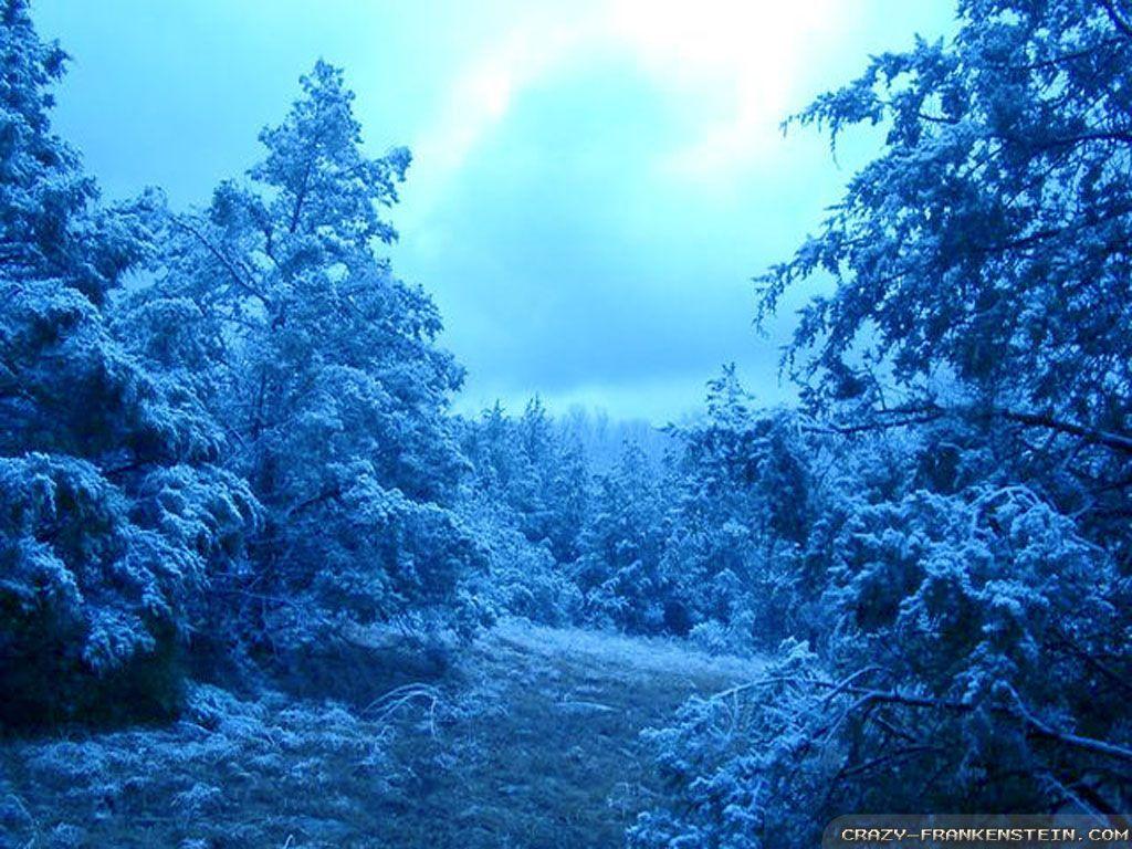 Cold Nature Wallpapers - Top Free Cold Nature Backgrounds - WallpaperAccess