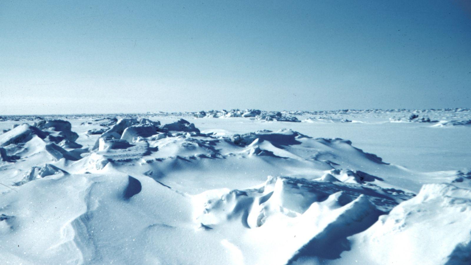 Cold Nature Wallpapers - Top Free Cold Nature Backgrounds - WallpaperAccess