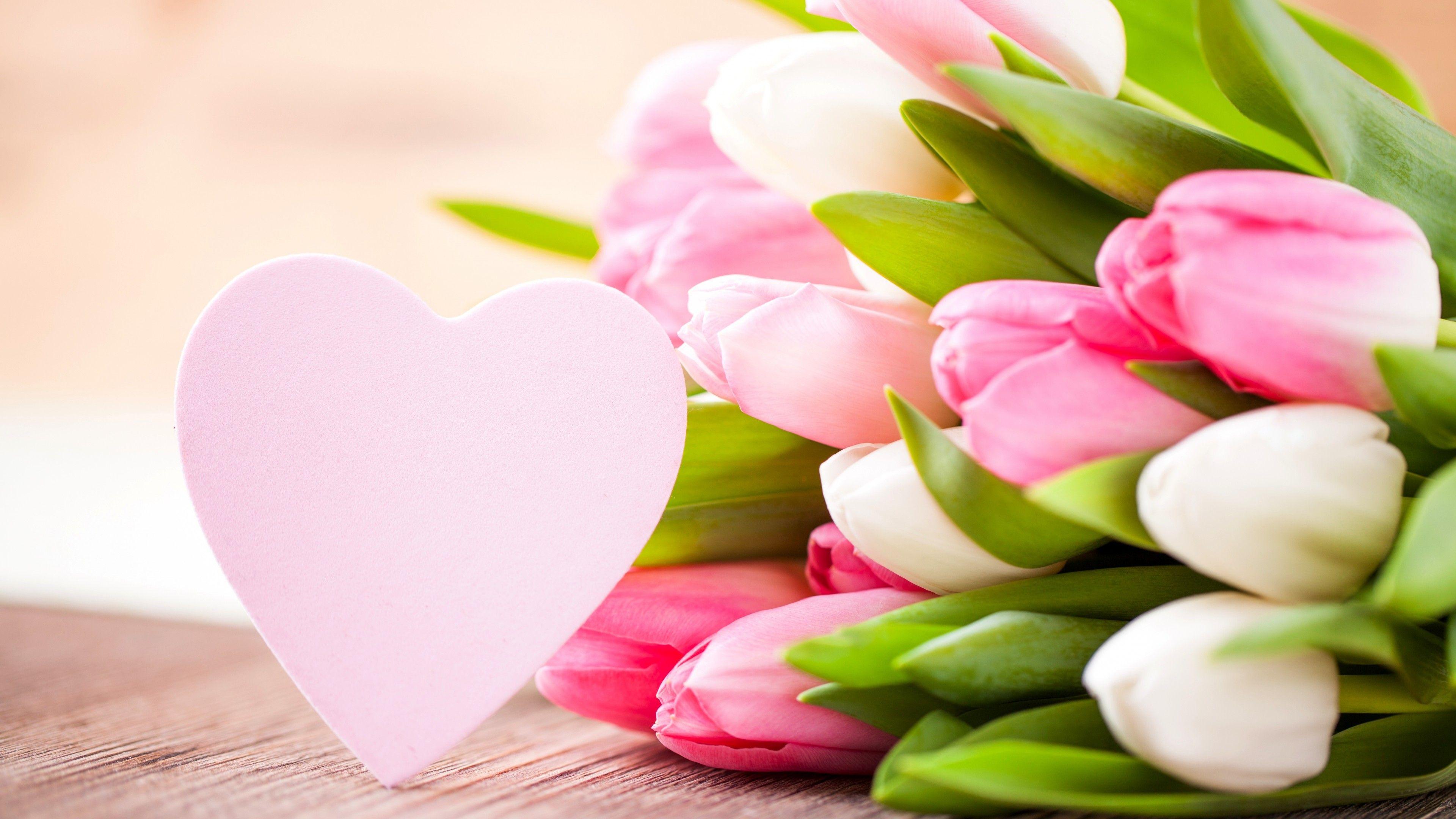 Valentine Day Flower Wallpapers - Top Free Valentine Day Flower ...