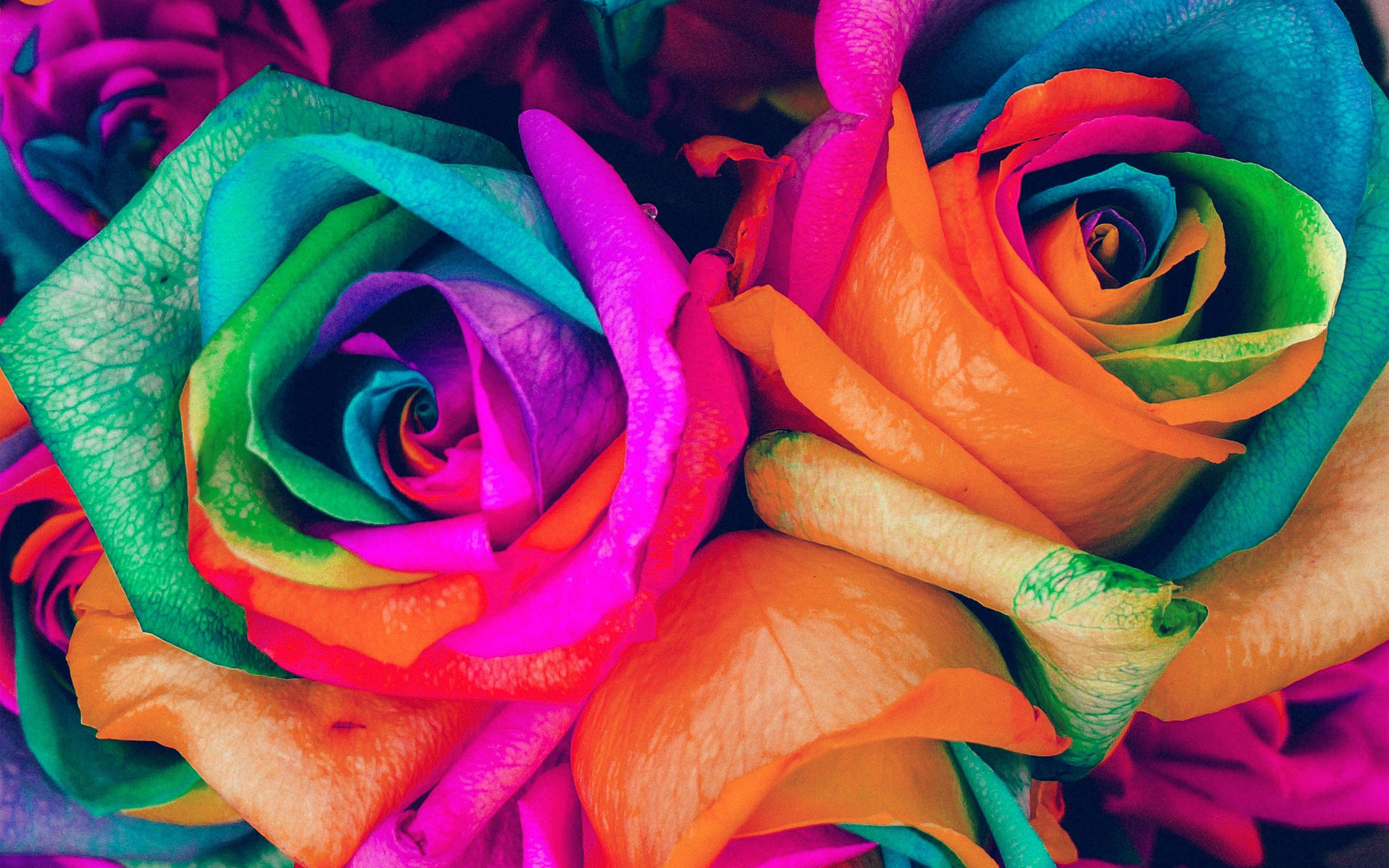 Rainbow Art Wallpapers - Top Free Rainbow Art Backgrounds - WallpaperAccess