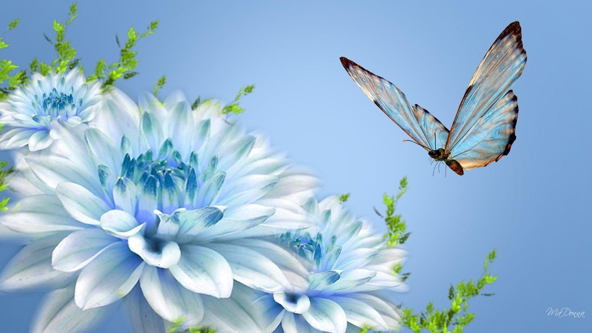 Blue Floral Desktop Wallpapers - Top Free Blue Floral Desktop ...