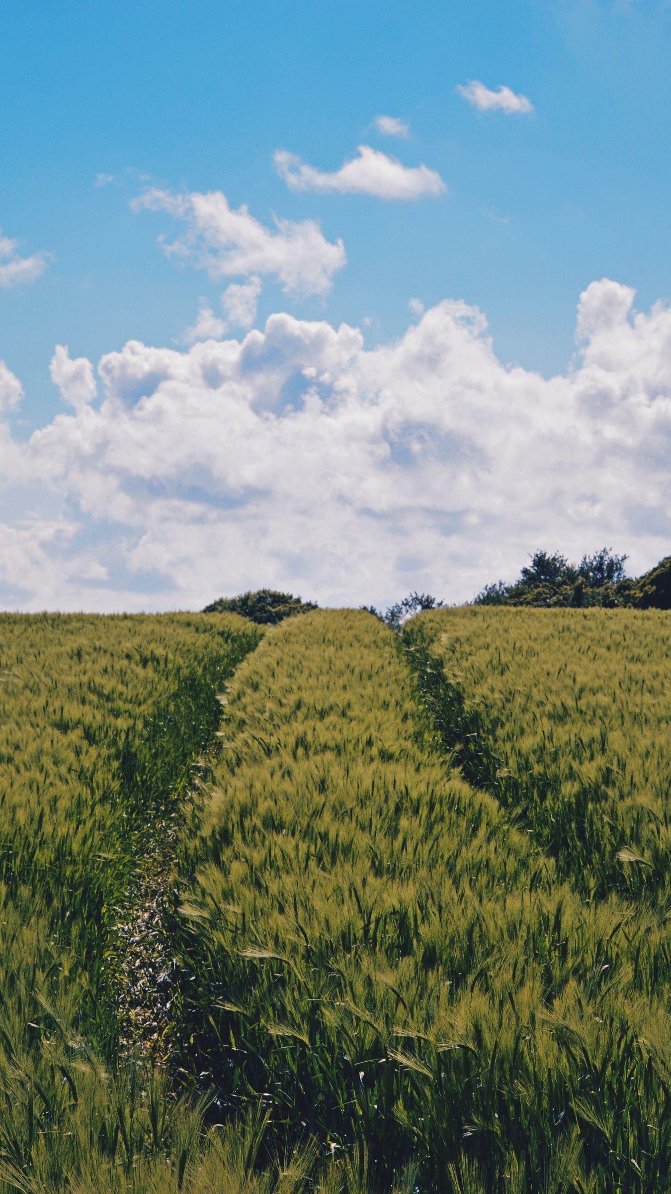 Summer Sky Wallpapers - Top Free Summer Sky Backgrounds - WallpaperAccess