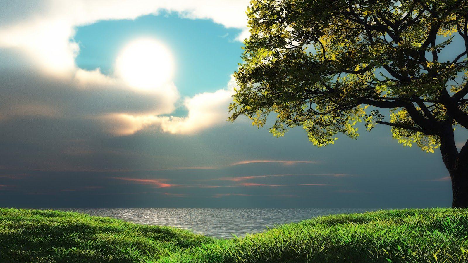 Tree Nature Wallpapers - Top Free Tree Nature Backgrounds - WallpaperAccess