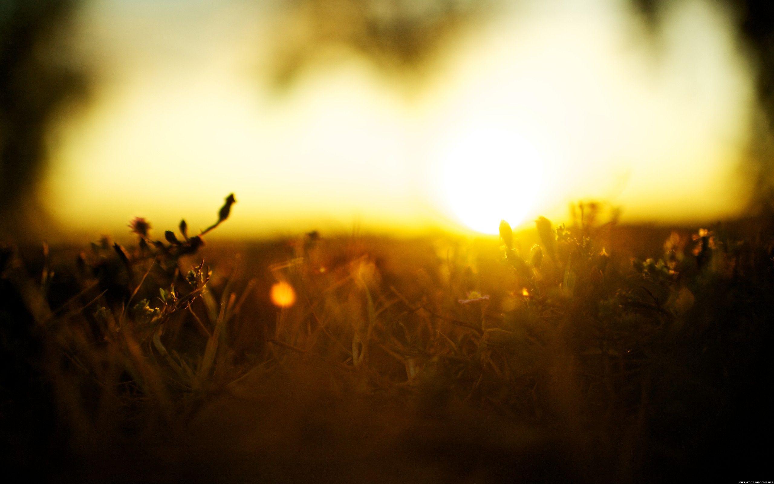 More Life Wallpapers - Top Free More Life Backgrounds - WallpaperAccess