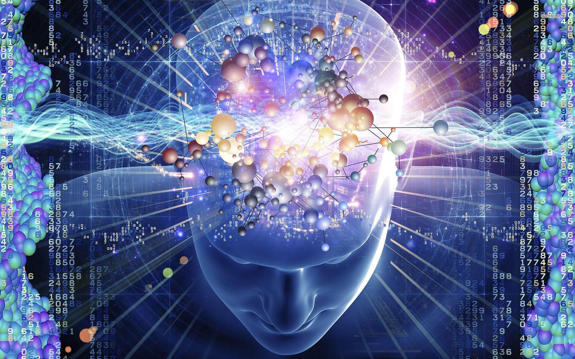 Cse Wallpapers - Top Free Cse Backgrounds - WallpaperAccess