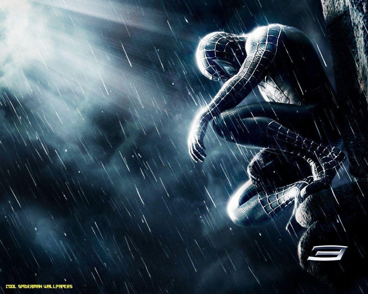 Cool Spiderman Desktop Wallpapers - Top Free Cool Spiderman Desktop ...