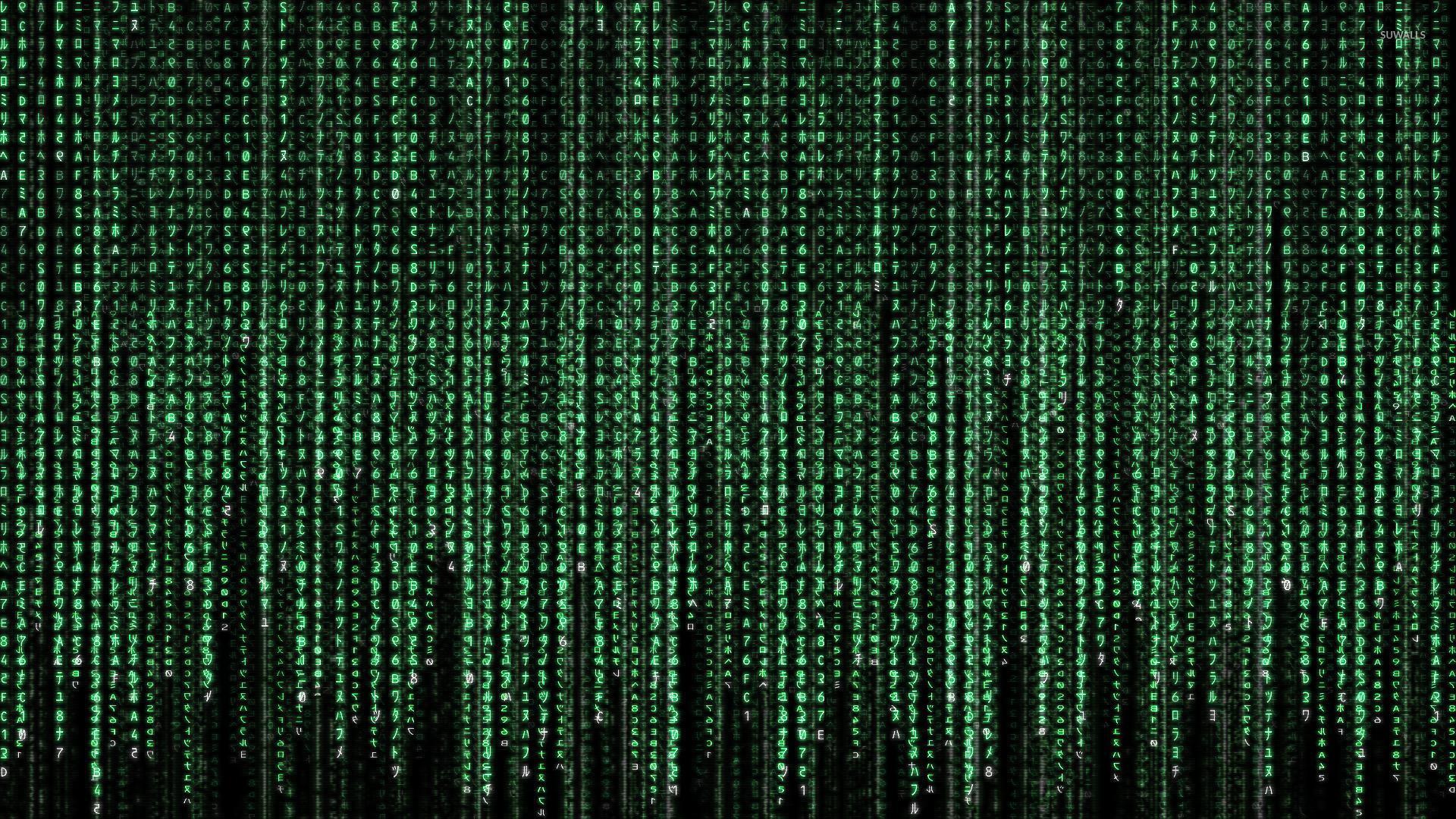 Matrix Movie Wallpapers - Top Free Matrix Movie Backgrounds ...