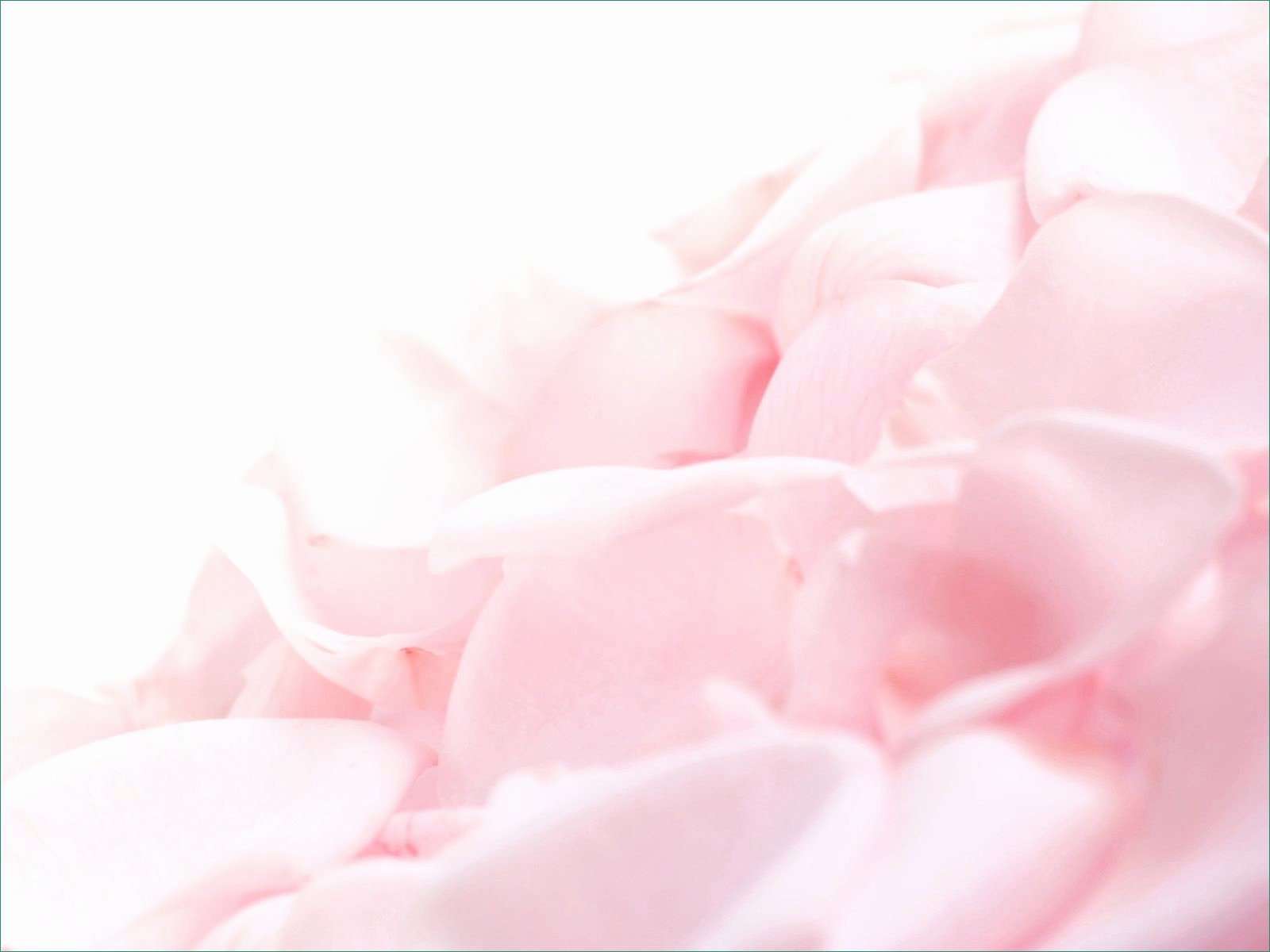 Dusty Pink Wallpapers - Top Những Hình Ảnh Đẹp Dusty Pink Wallpapers - Top Những Hình Ảnh Đẹp