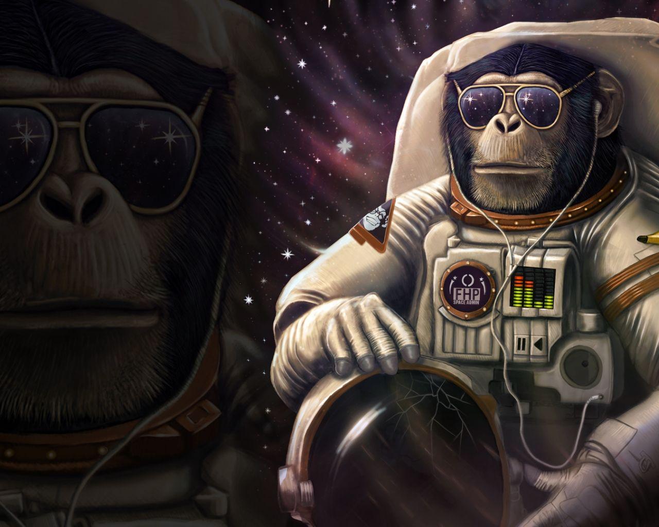 WTF Wallpapers - Top Free WTF Backgrounds - WallpaperAccess