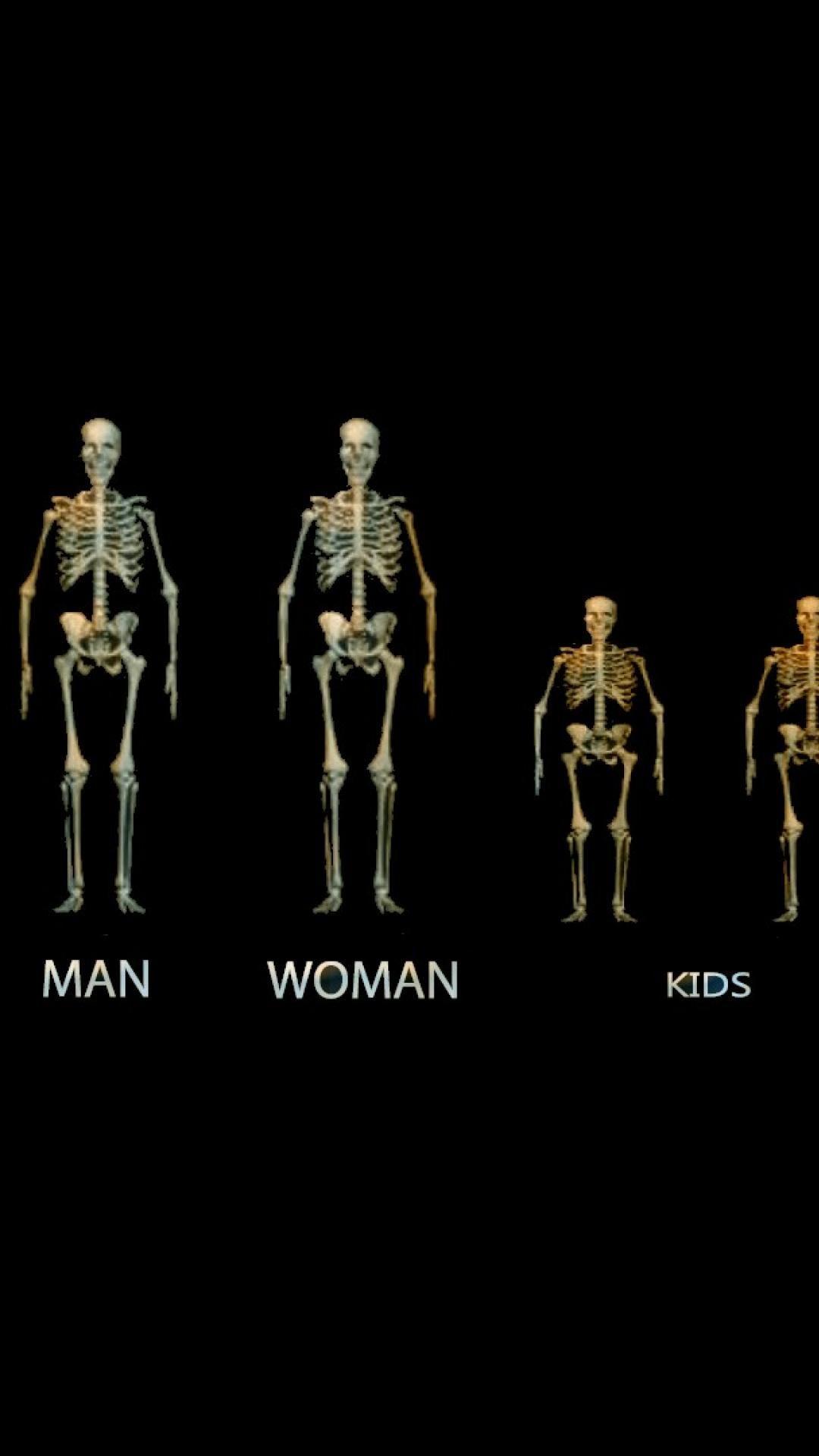 WTF Wallpapers - Top Free WTF Backgrounds - WallpaperAccess