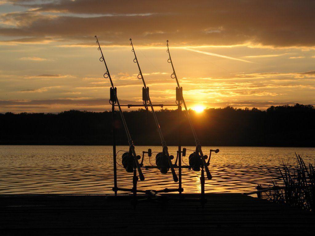 Carpfishing Wallpapers - Top Free Carpfishing Backgrounds - WallpaperAccess