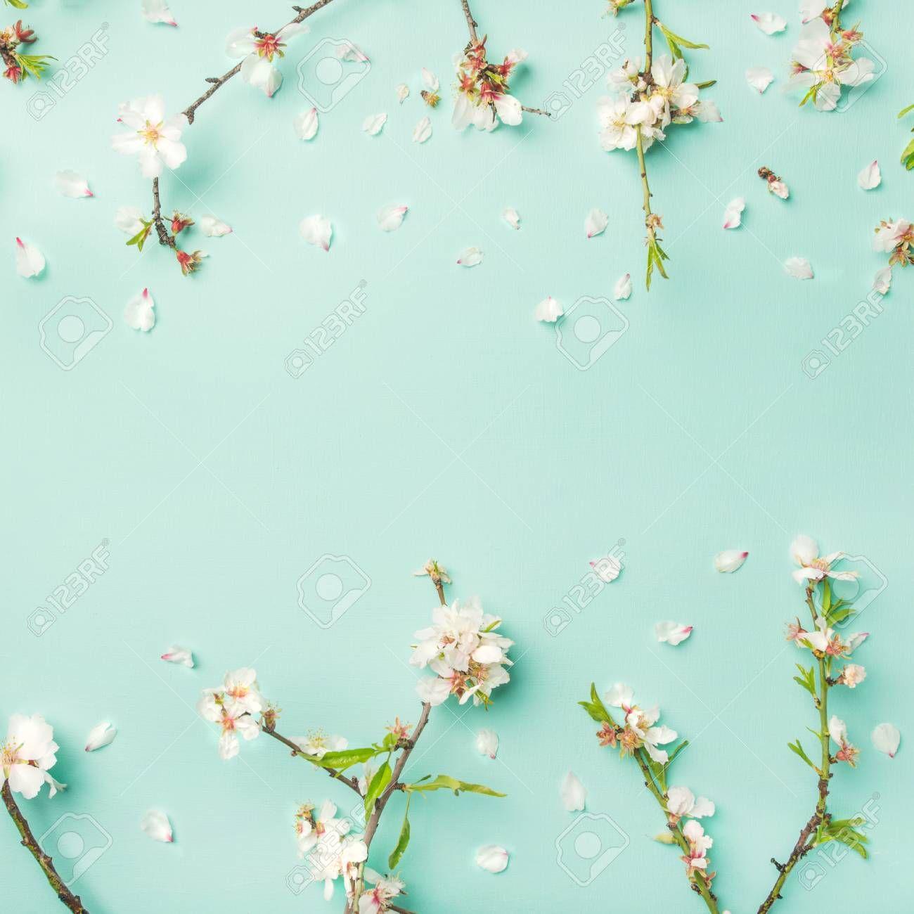 Spring Pastel Wallpapers - Top Free Spring Pastel Backgrounds ...