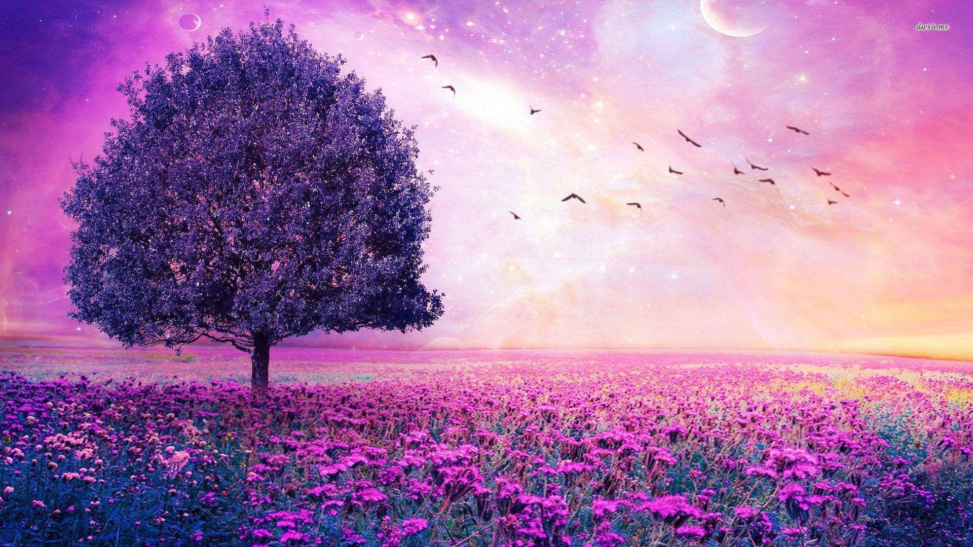 Haze Wallpapers - Top Free Haze Backgrounds - WallpaperAccess