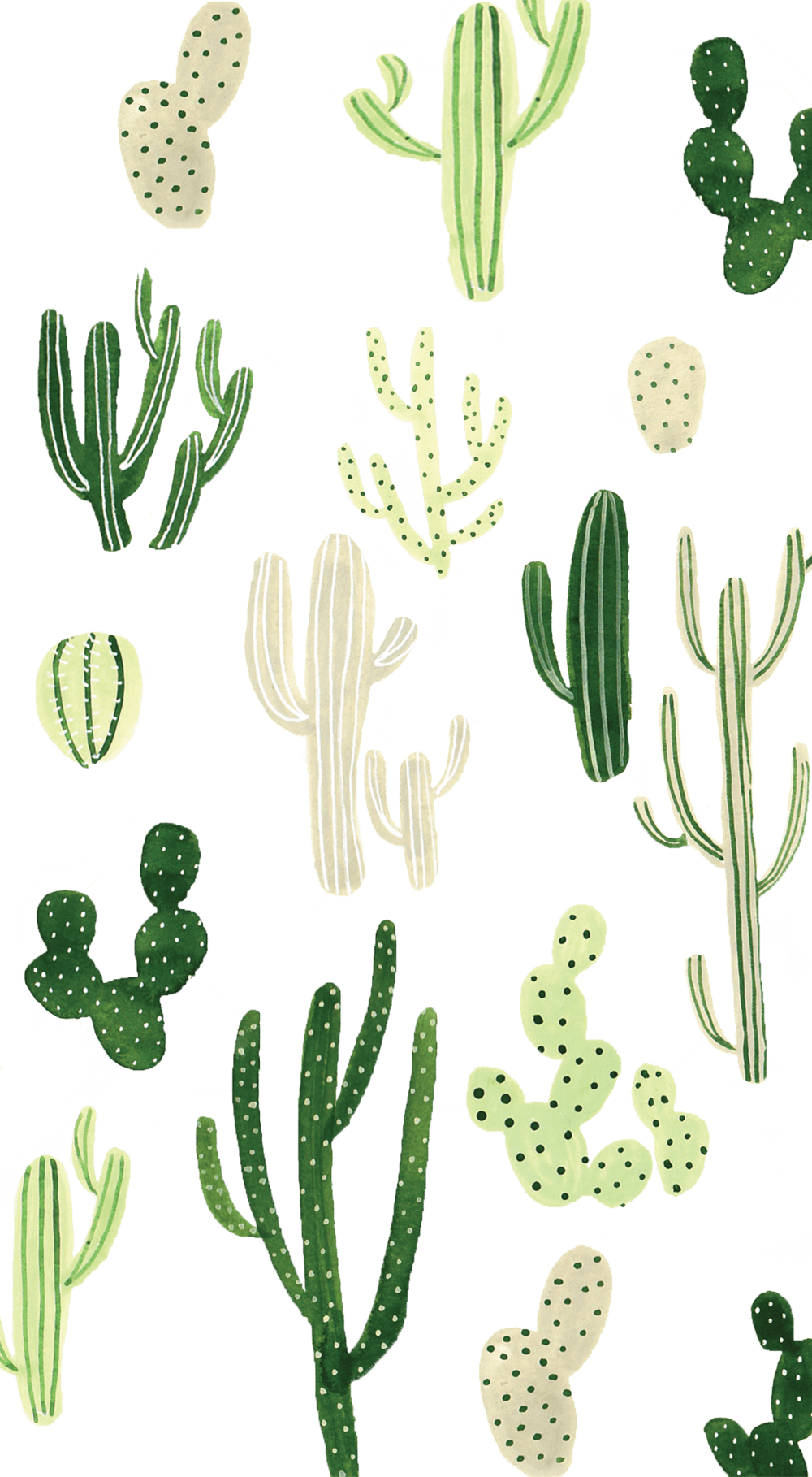 Cactus iPhone Wallpapers - Top Free Cactus iPhone Backgrounds ...