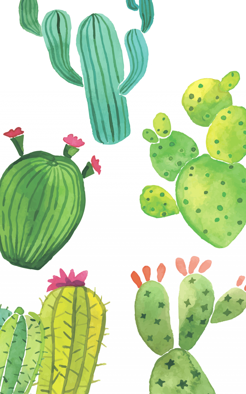 Cactus iPhone Wallpapers - Top Free Cactus iPhone Backgrounds ...