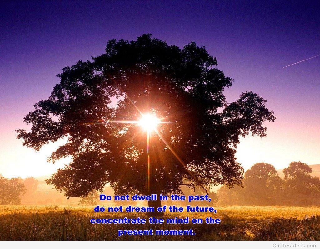 New Life Wallpapers - Top Free New Life Backgrounds - WallpaperAccess