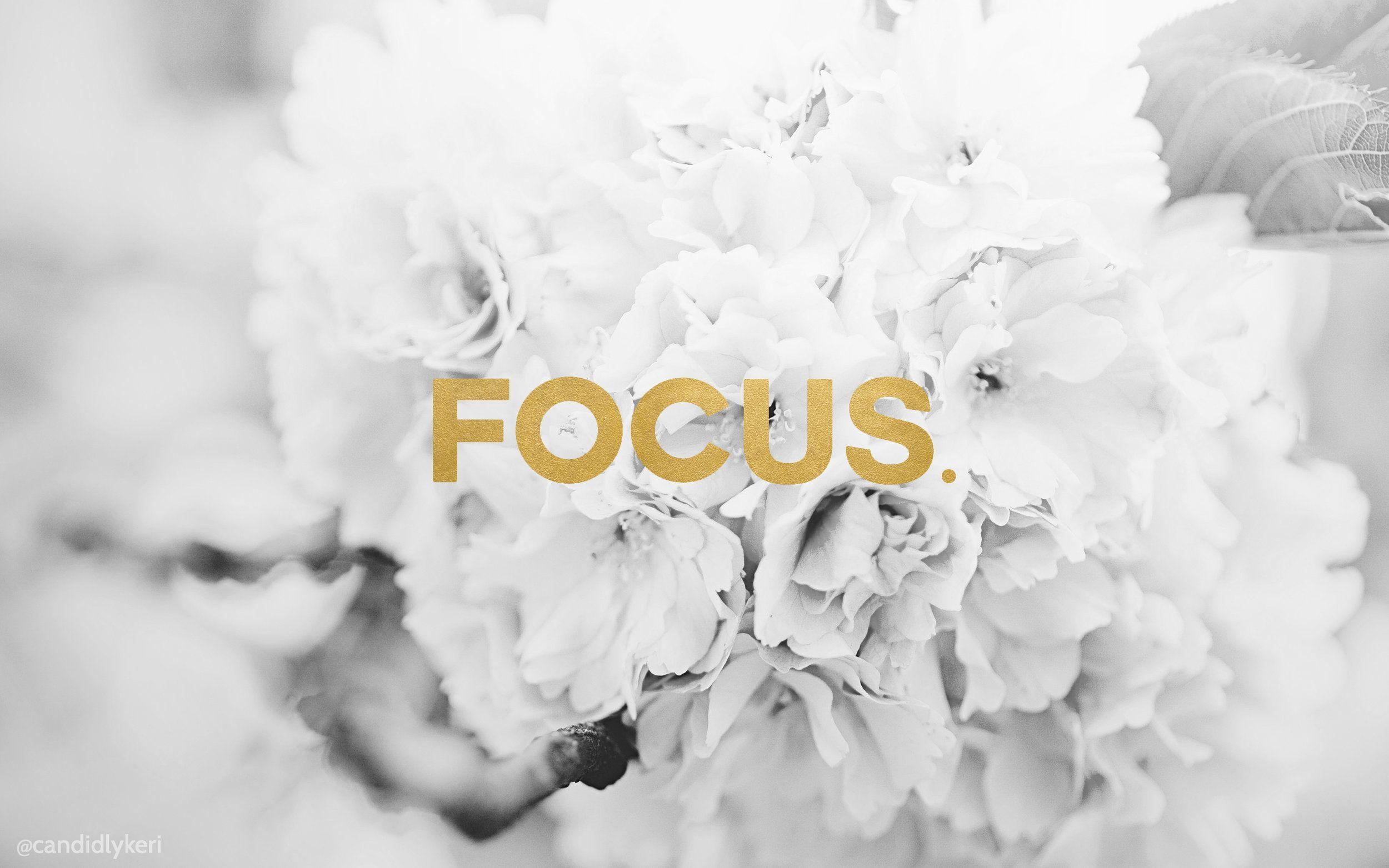 Focus Computer Wallpapers - Top Free Focus Computer Backgrounds ...
